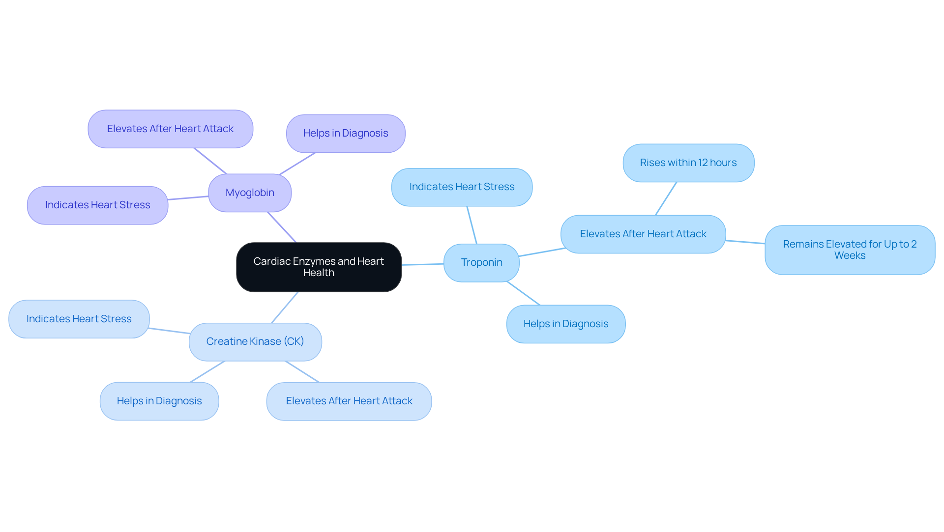This mindmap starts with the main idea of cardiac enzymes at the center. Each branch represents a specific enzyme and its importance in assessing heart health. Follow the branches to see how each enzyme contributes to understanding heart conditions. This mindmap starts with the main idea of cardiac enzymes at the center. Each branch represents a specific enzyme and its importance in assessing heart health. Follow the branches to see how each enzyme contributes to understanding heart conditions.