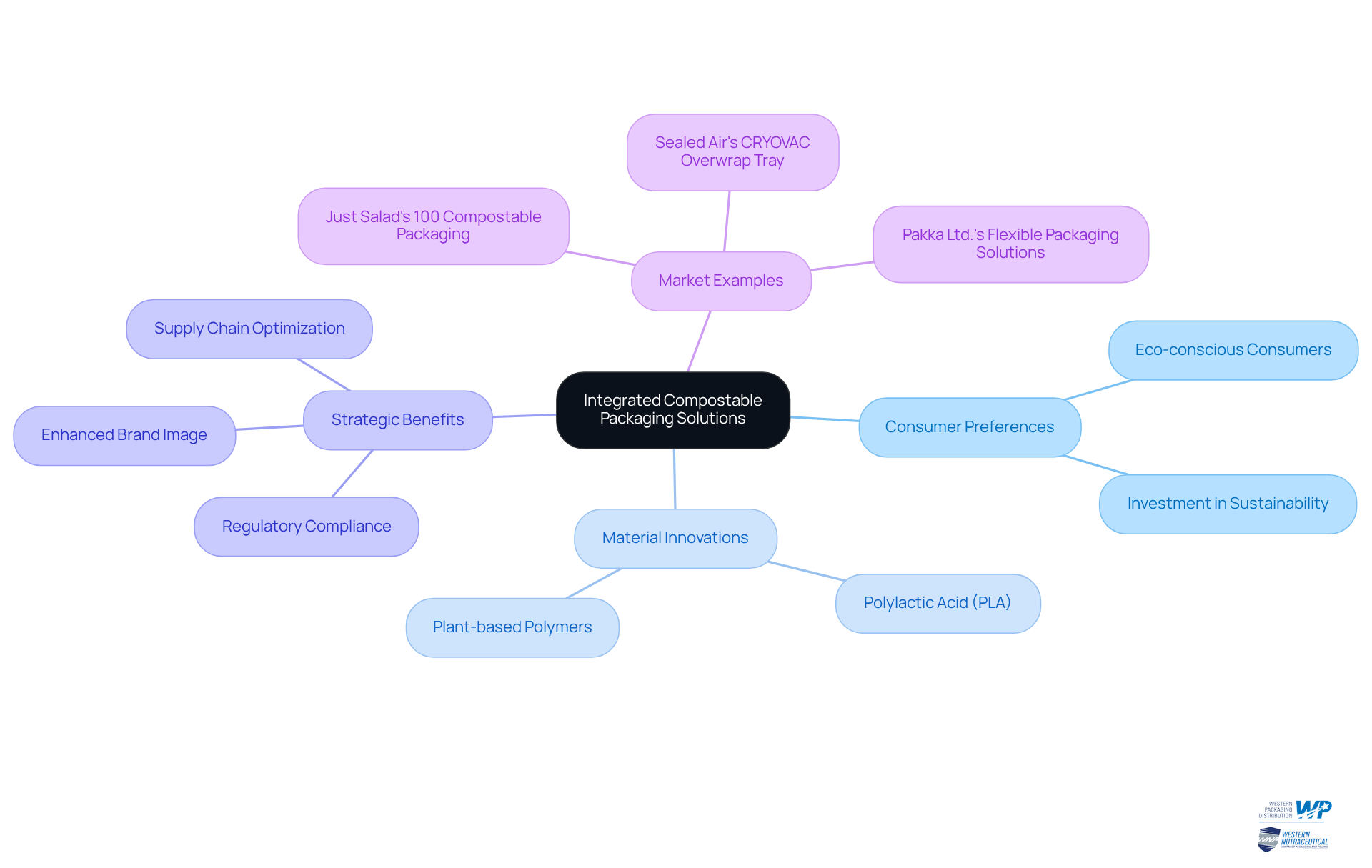 The center shows the main concept of sustainable packaging, with branches illustrating how consumer preferences, material advancements, and strategic advantages connect to enhance brand success.