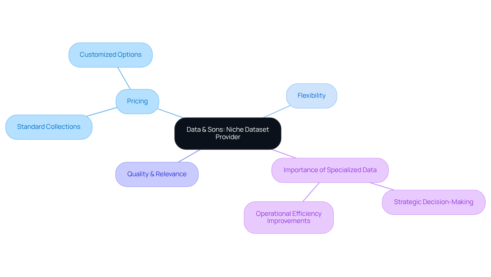 Start at the center with Data & Sons, then explore each branch to see how pricing, flexibility, and the importance of specialized data connect to the overall theme of enhancing decision-making.