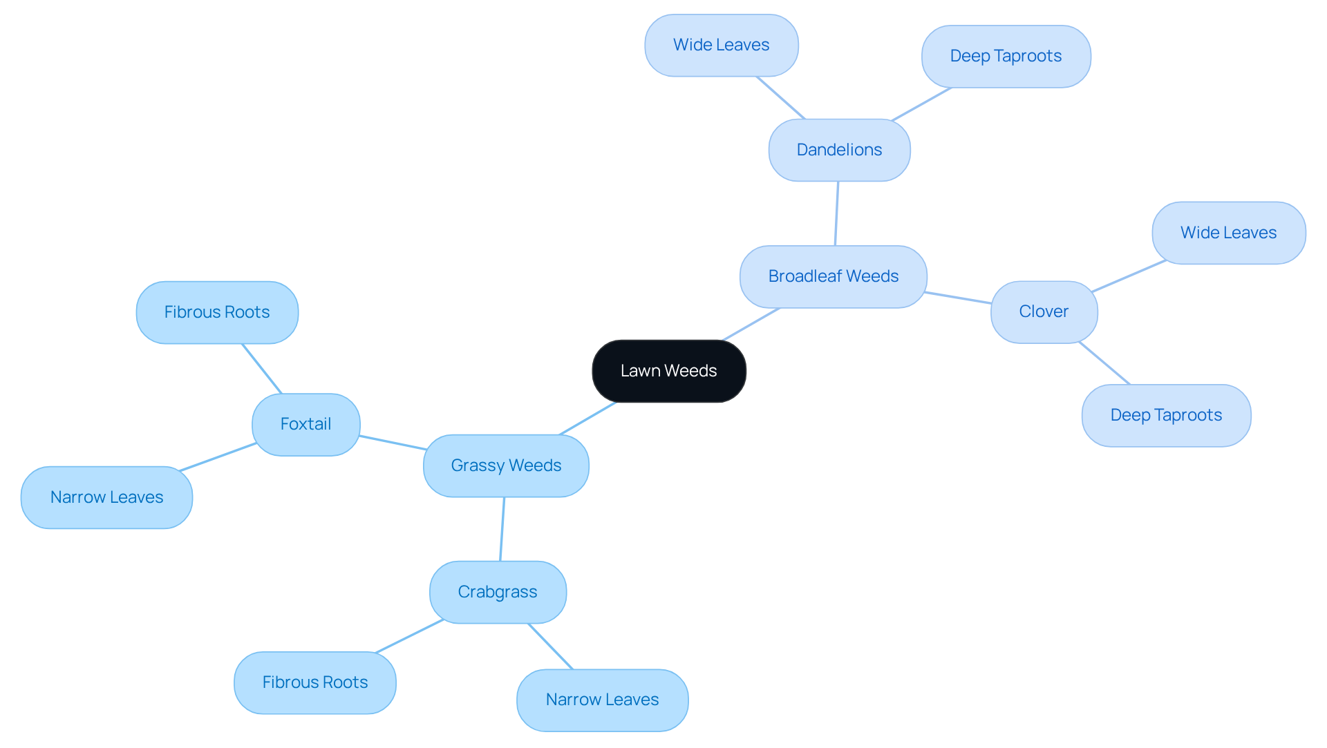 The central node represents all lawn weeds, while the branches show the two main types. Each sub-branch provides specific examples and traits, helping you understand how to identify and manage these weeds.