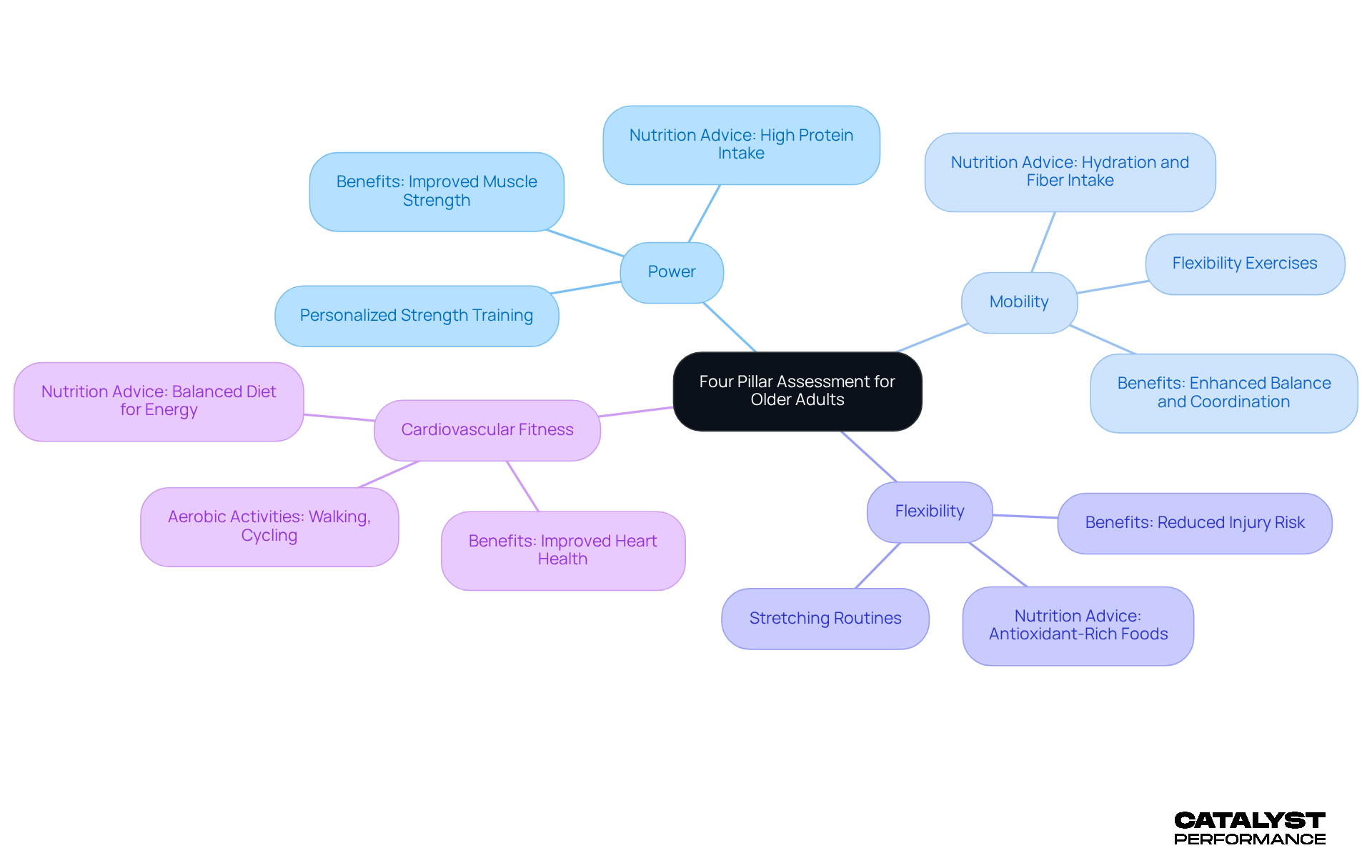 The center represents the main assessment tool, while the branches show the key health elements and their importance in creating personalized fitness programs for older adults. The center represents the main assessment tool, while the branches show the key health elements and their importance in creating personalized fitness programs for older adults.