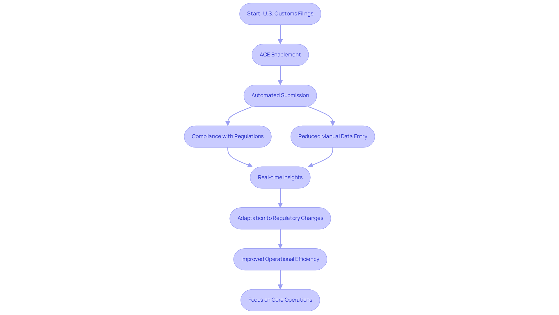 Follow the arrows to see how each step in the process leads to improved compliance and efficiency. Each box represents a key action or outcome in the customs filing process.