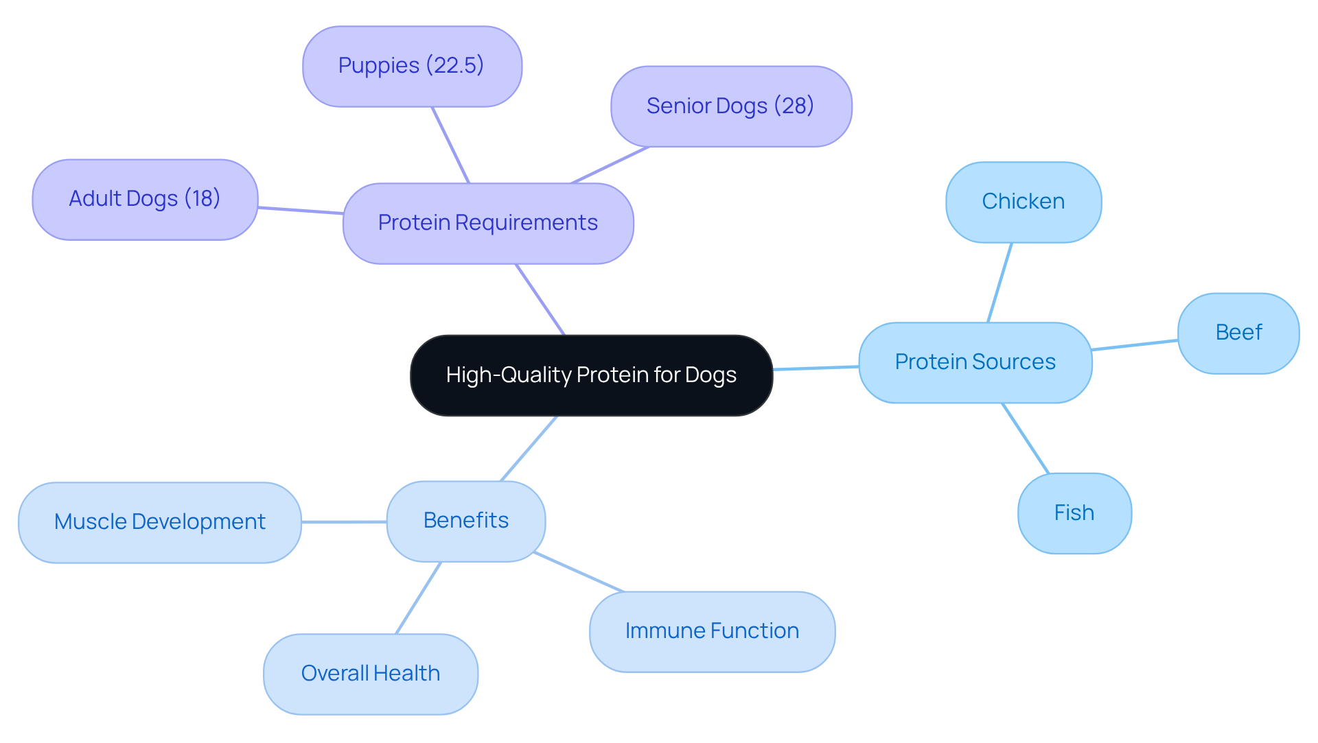 The center shows the main concept of high-quality protein, with branches leading out to specific sources, their benefits, and the required protein levels for various dog life stages. Each color-coded branch helps you see the relationships clearly. The center shows the main concept of high-quality protein, with branches leading out to specific sources, their benefits, and the required protein levels for various dog life stages. Each color-coded branch helps you see the relationships clearly.
