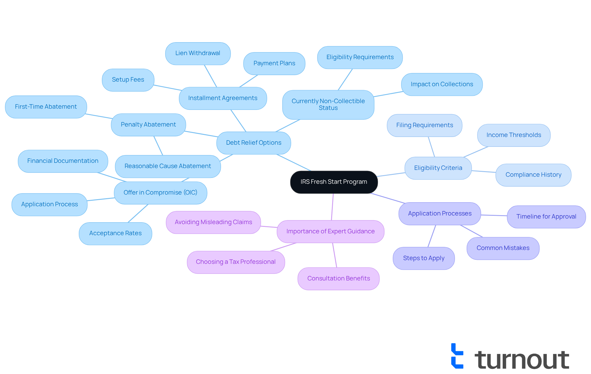 The mindmap starts with the main program in the center, and branches out into the various options and requirements. Each branch signifies a different aspect of the program, allowing you to see how they relate to each other and the overall goal of achieving debt relief.