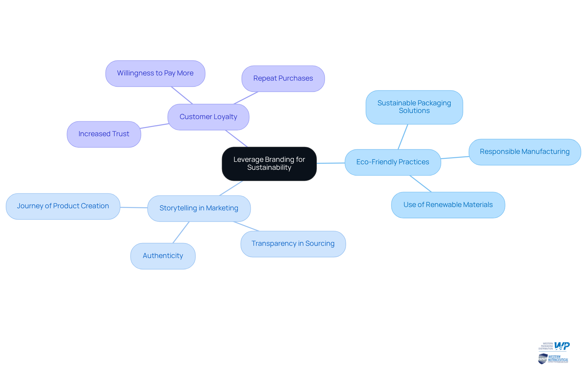 The central node represents the main idea, while each branch highlights critical strategies and examples. Follow the branches to explore how each strategy contributes to promoting sustainability.