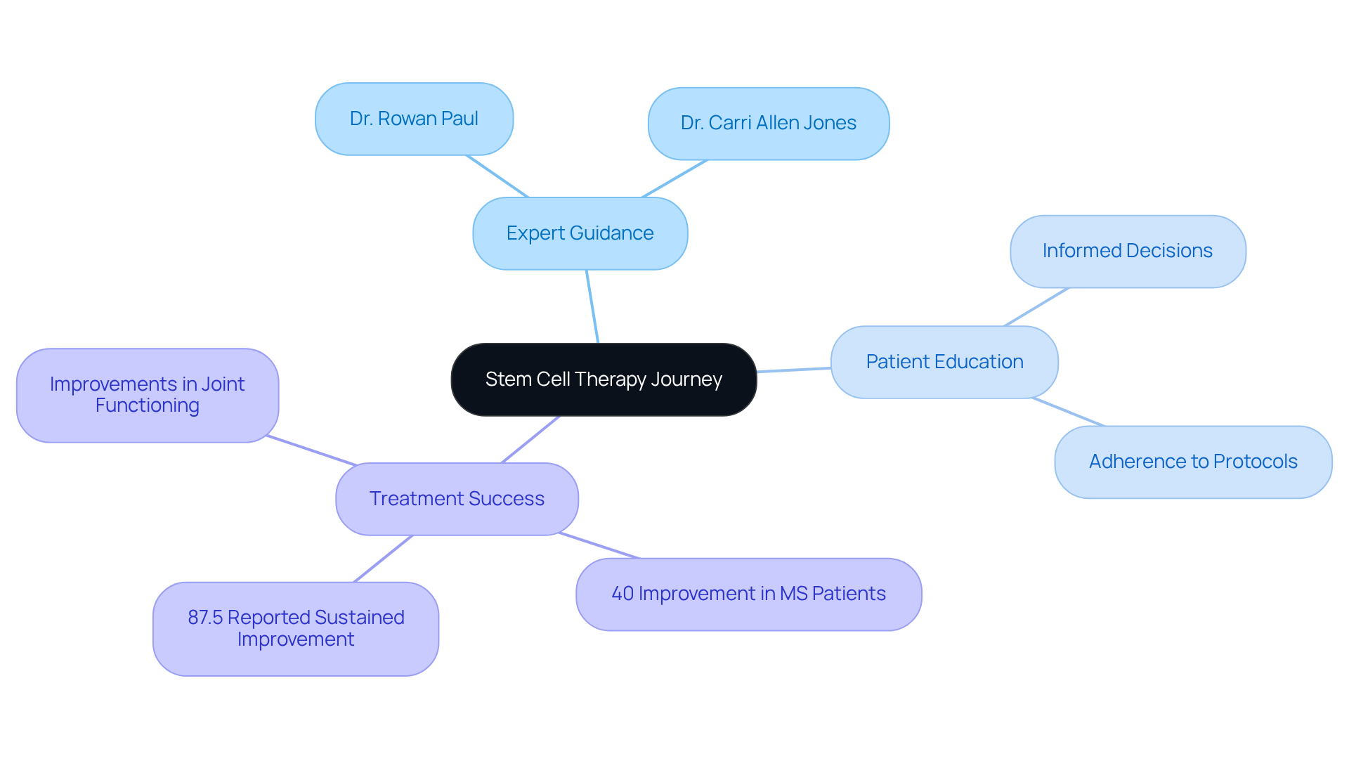 The center represents your journey in stem cell therapy. Each branch shows important aspects like expert guidance and education, which help you understand and succeed in your treatment.