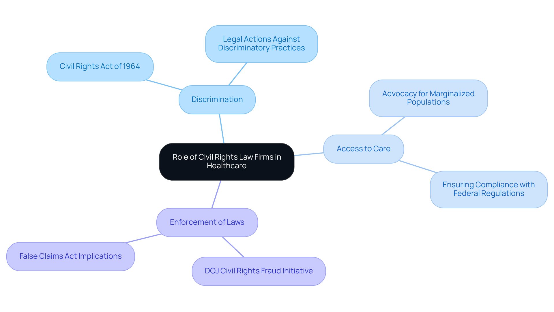 The center represents the main topic, while the branches show key issues that civil rights law firms address in healthcare. Each branch highlights an important area of focus, helping you understand how these firms advocate for patient rights and compliance.