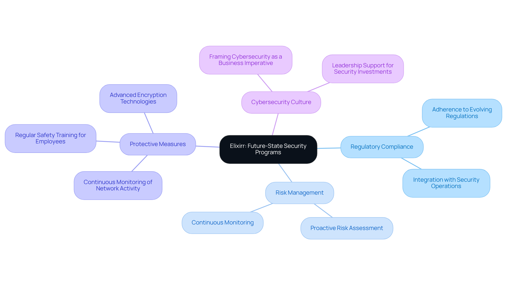 The central node represents Elixirr's focus on security programs, with branches showing key areas of emphasis and specific strategies to enhance data security. Each branch highlights a different aspect of their approach.