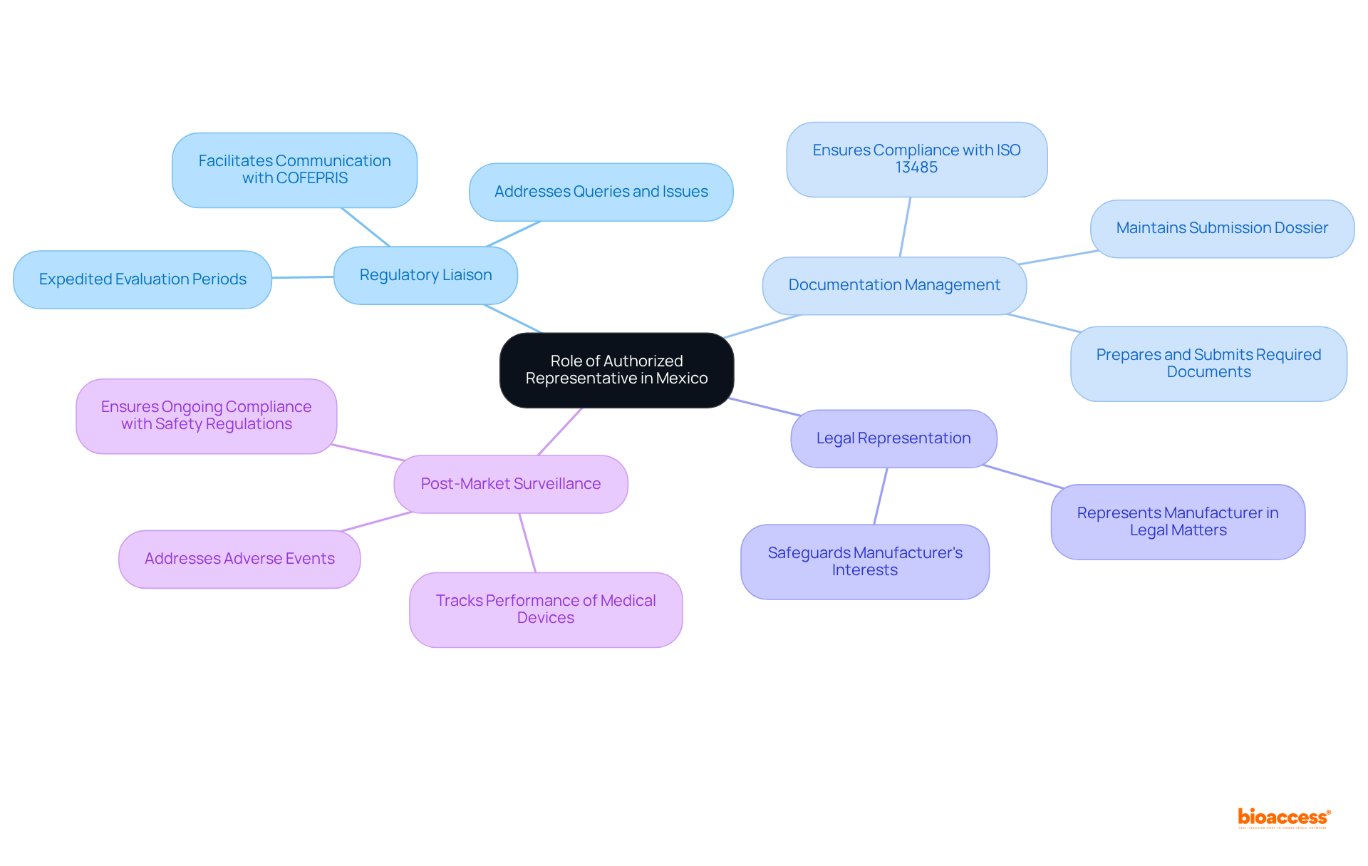 The central node represents the main role of the AR, and each branch highlights a key responsibility. Details beneath each branch explain what that responsibility entails, helping you understand how they all contribute to compliance and market access.