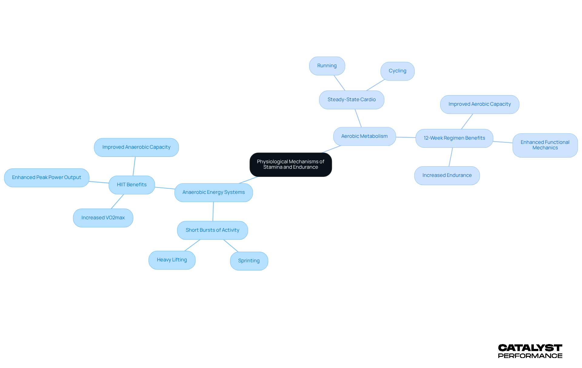 The central node represents the main topic, while the branches show how stamina and endurance are connected to different energy systems and training methods. Each color-coded branch helps you see the relationships and distinctions clearly. The central node represents the main topic, while the branches show how stamina and endurance are connected to different energy systems and training methods. Each color-coded branch helps you see the relationships and distinctions clearly.