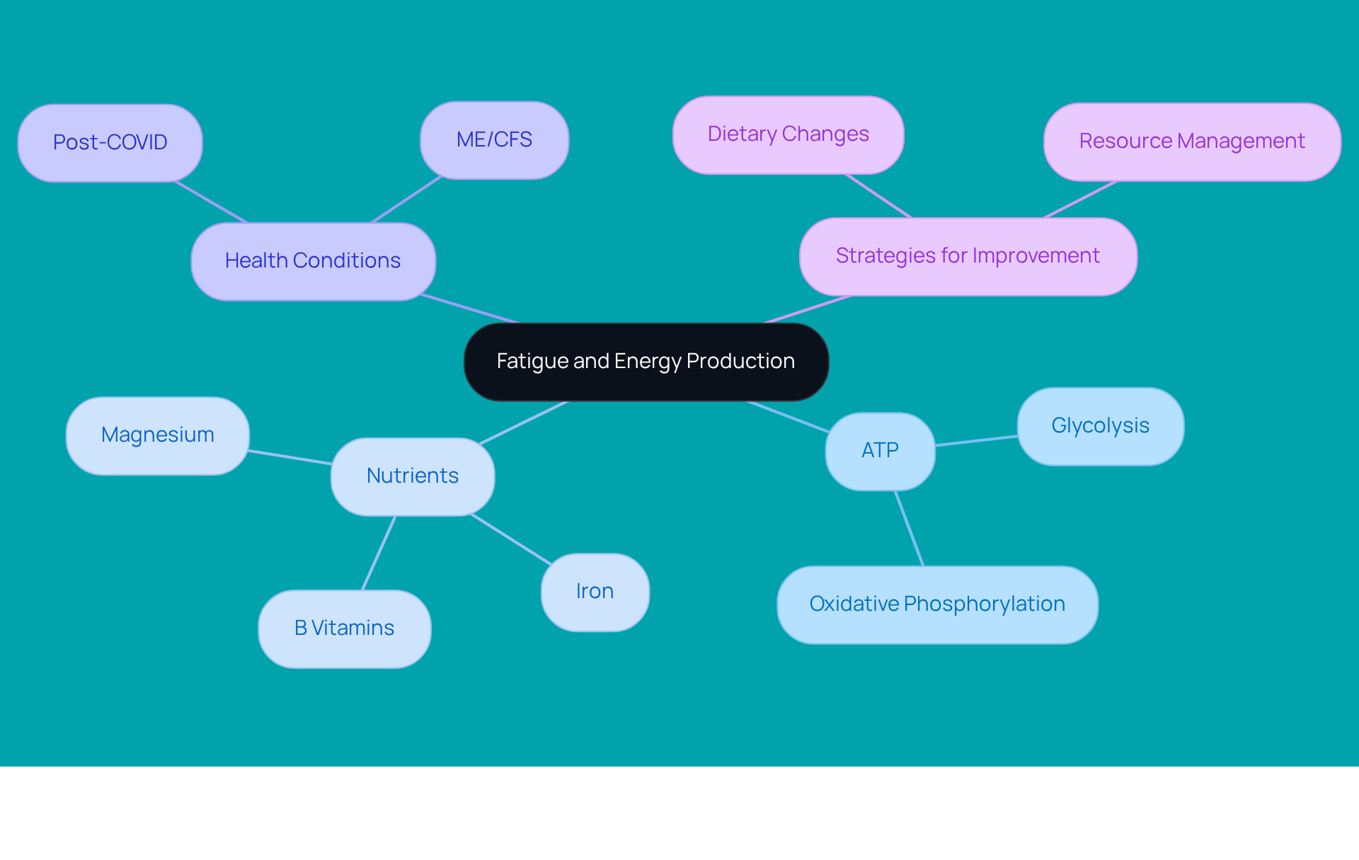 This mindmap shows how fatigue is connected to energy production in our bodies. Start at the center with the main topic, then follow the branches to see how ATP, nutrients, health conditions, and strategies for improvement are all related.