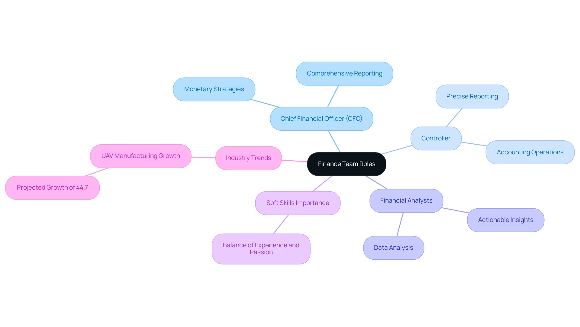 Each branch represents a key role in the finance team, with sub-branches outlining their specific responsibilities.