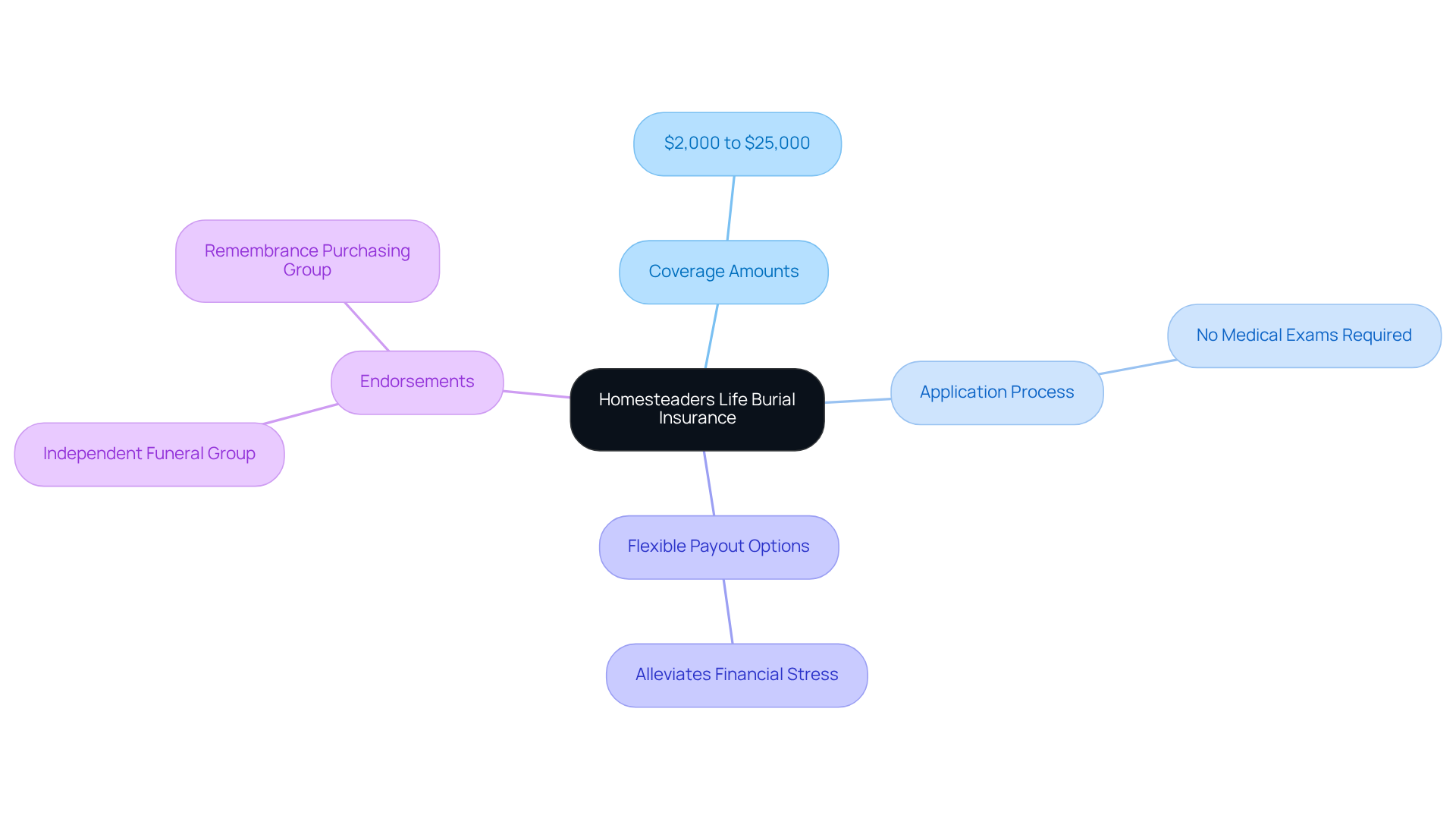 The center represents the main service offered, while the branches show different aspects of the insurance plans. Each branch helps you understand how the service is structured and what benefits it provides.