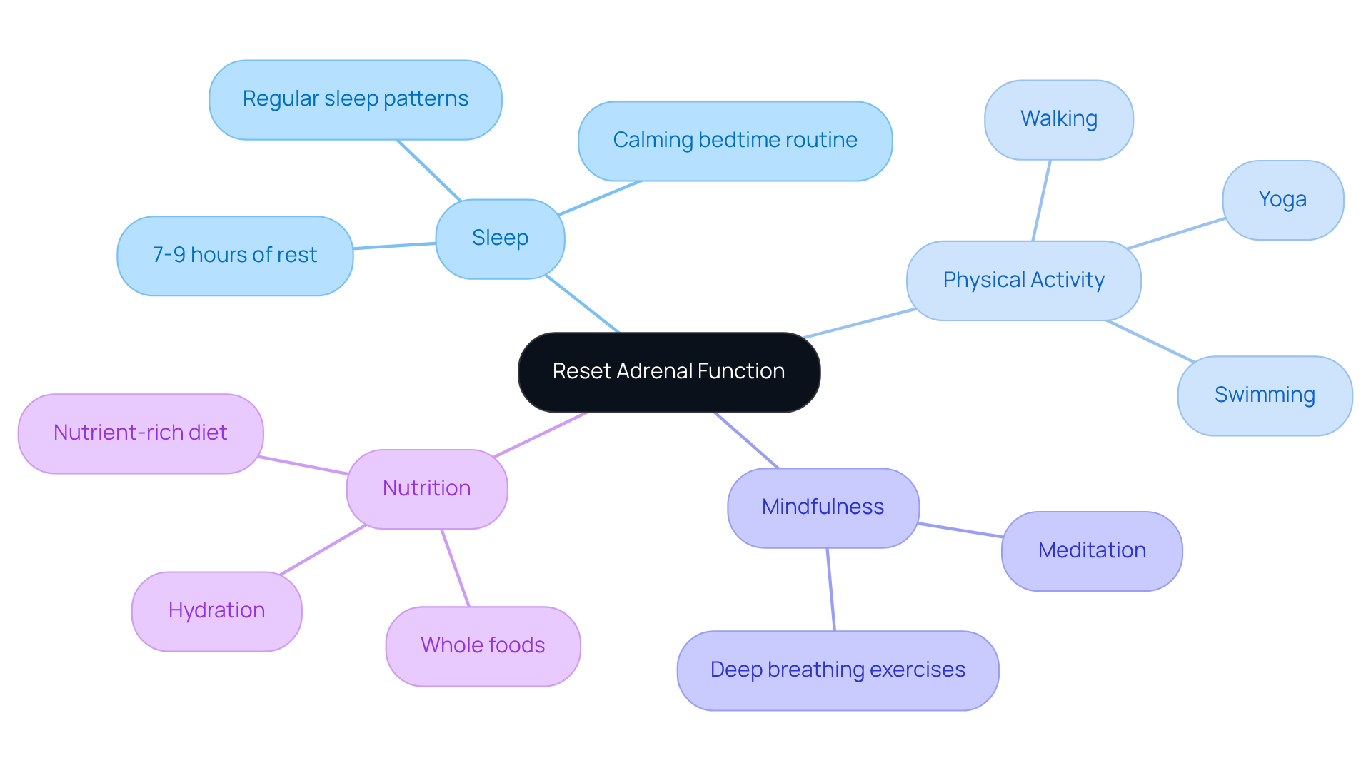 This mindmap shows how different lifestyle changes can help reset your adrenal function. Start at the center with the main goal, then follow the branches to see specific actions you can take in areas like sleep, physical activity, mindfulness, and nutrition. This mindmap shows how different lifestyle changes can help reset your adrenal function. Start at the center with the main goal, then follow the branches to see specific actions you can take in areas like sleep, physical activity, mindfulness, and nutrition.