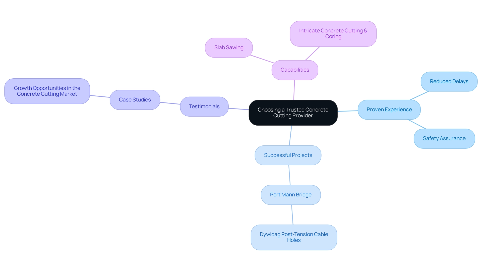 The central idea is about selecting a reliable provider, with branches detailing the factors to consider, such as experience and project success. Each branch leads to specific aspects or examples that support the decision-making process.