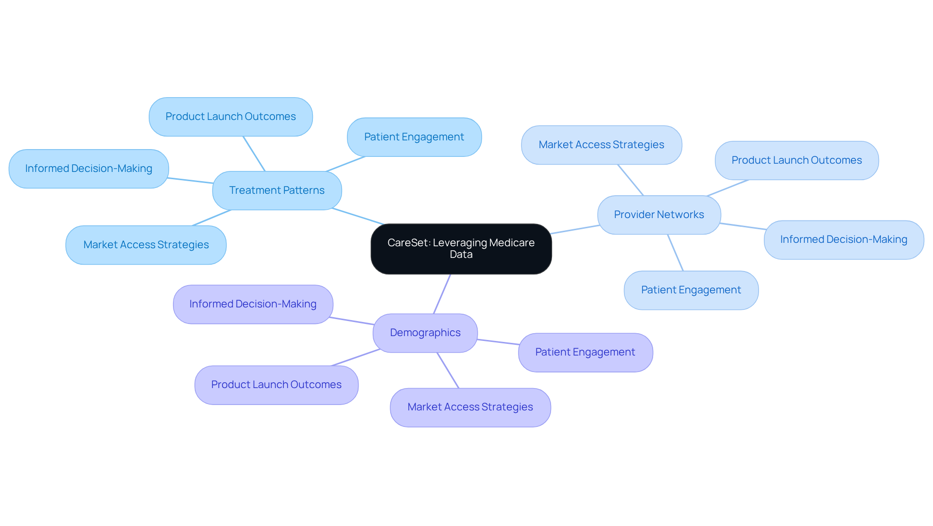 In the center, we have CareSet's approach, branching out to show how different components interact and support pharmaceutical companies in navigating the market landscape.