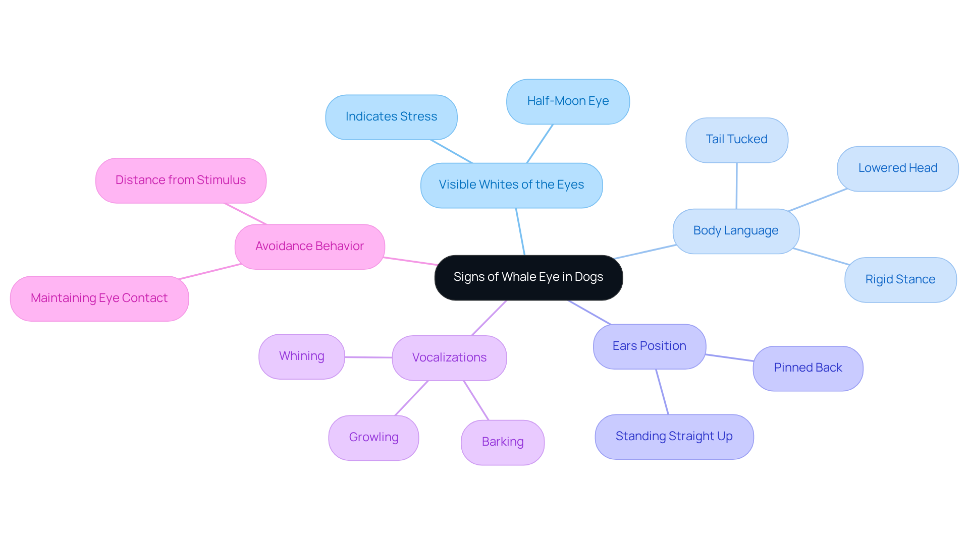 The central node represents whale eye, with branches showing the signs to look for. Each branch highlights a category of behavior, helping you understand what your dog is feeling.