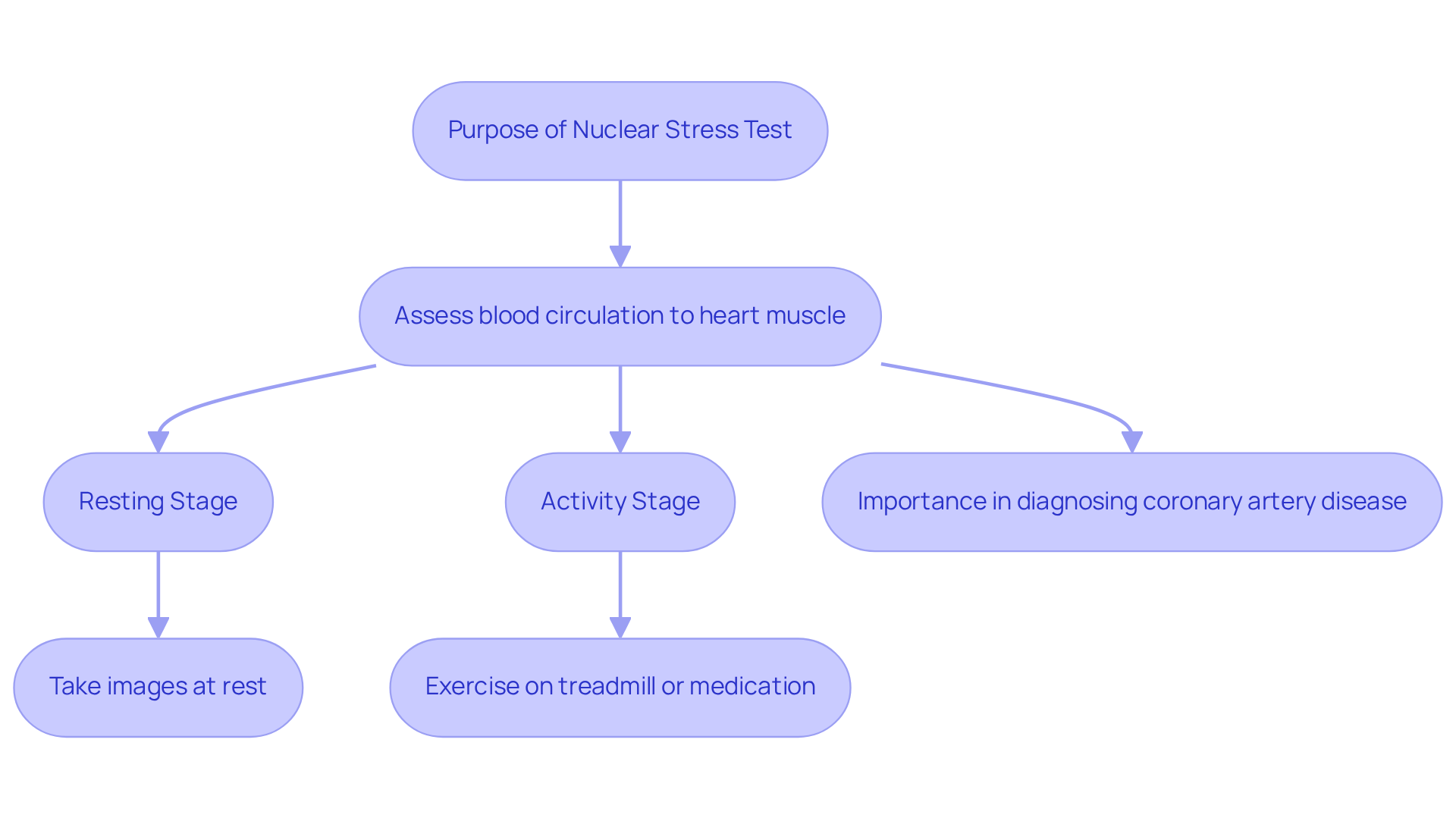 This flowchart outlines the nuclear stress test process. Start with the purpose, then follow the arrows to see the two stages of the test: resting and activity. Each stage is crucial for understanding heart health.