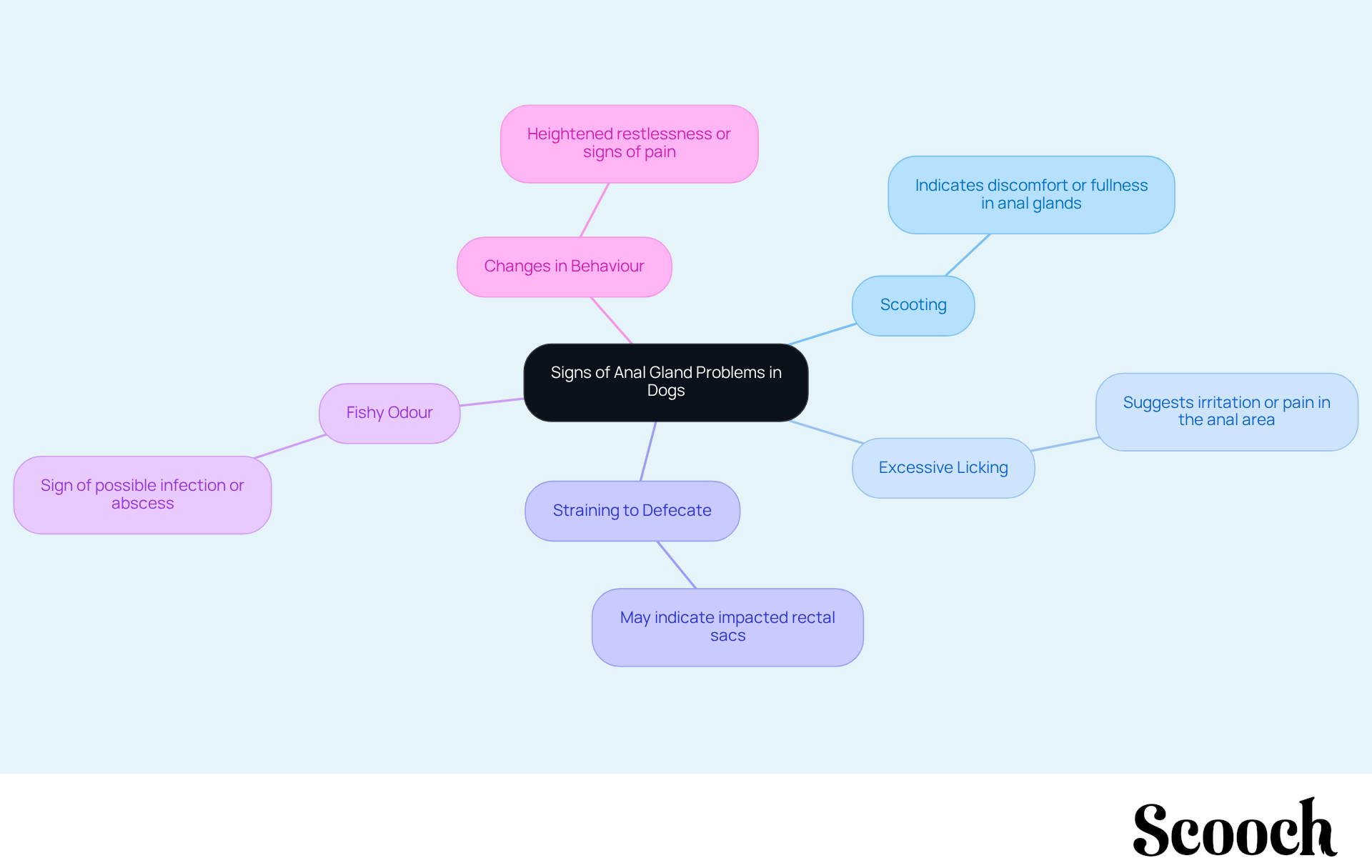 The central node represents the main issue, while each branch shows a specific sign of anal gland problems. The descriptions help explain what each sign means, making it easier for dog owners to recognize potential health issues.