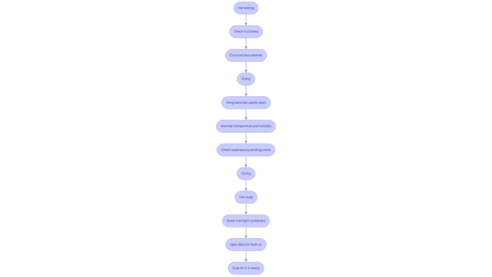 Each box represents a step in the process. Follow the arrows to see how to move from harvesting to drying, and finally to curing your cannabis for the best results. Each box represents a step in the process. Follow the arrows to see how to move from harvesting to drying, and finally to curing your cannabis for the best results.