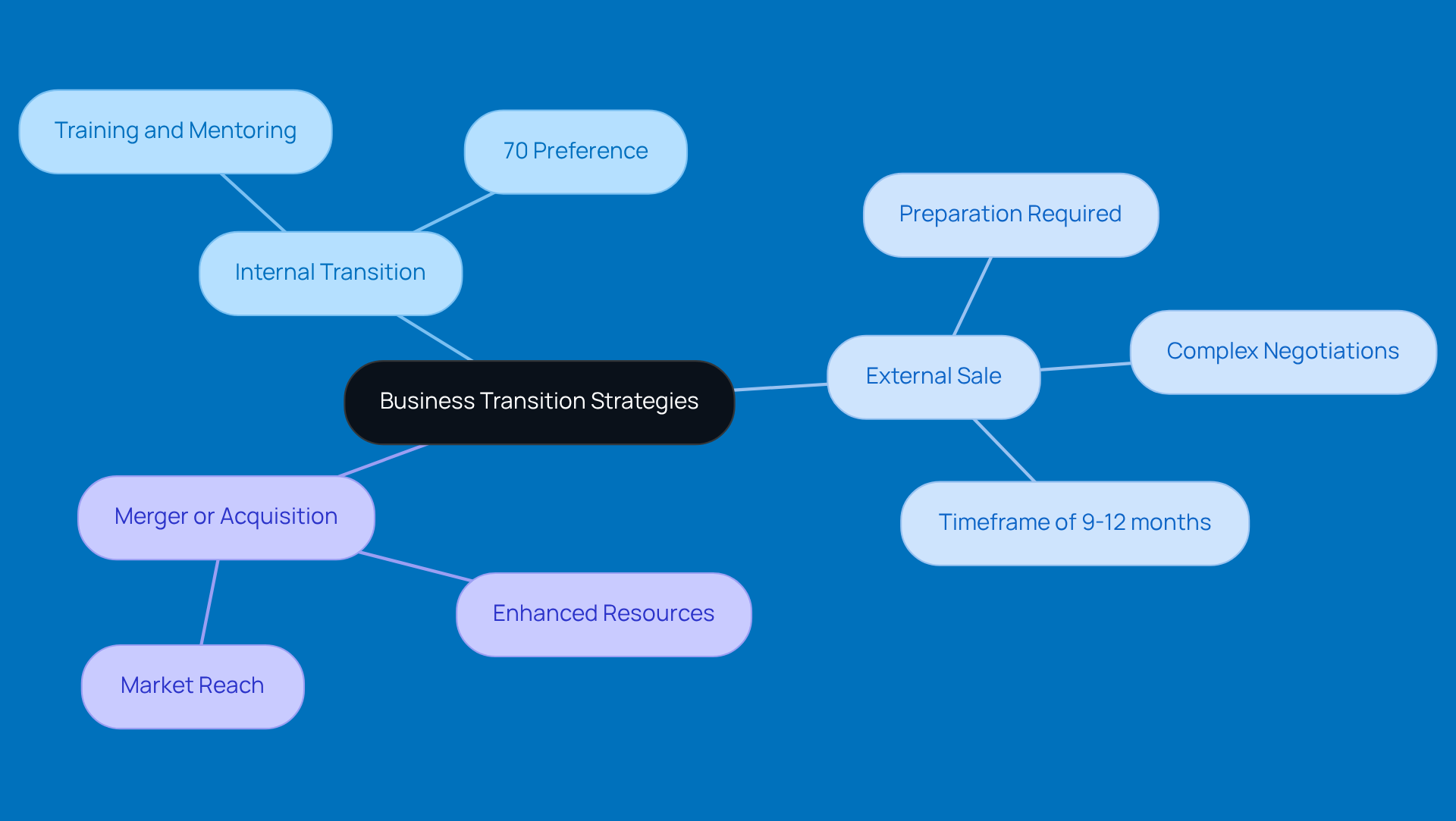 This mindmap shows the main strategies for transitioning a business. Each branch represents a different strategy, and the sub-branches provide important details about each option. Follow the branches to understand the considerations and implications of each strategy.