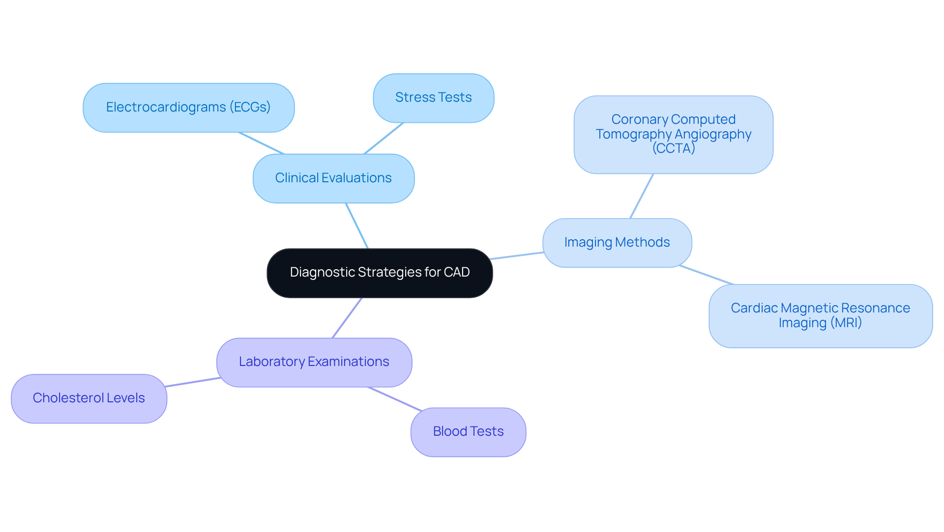 The central node represents the overall goal of diagnosing CAD, while the branches show different strategies. Each method listed contributes to a thorough understanding of a patient's cardiovascular health.