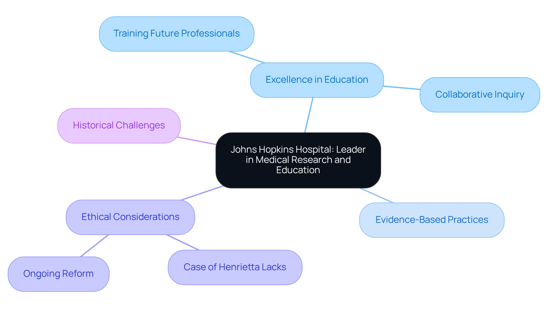 The center represents Johns Hopkins Hospital, while the branches illustrate its educational and research strengths, along with ethical challenges, showing how these elements connect and interact.