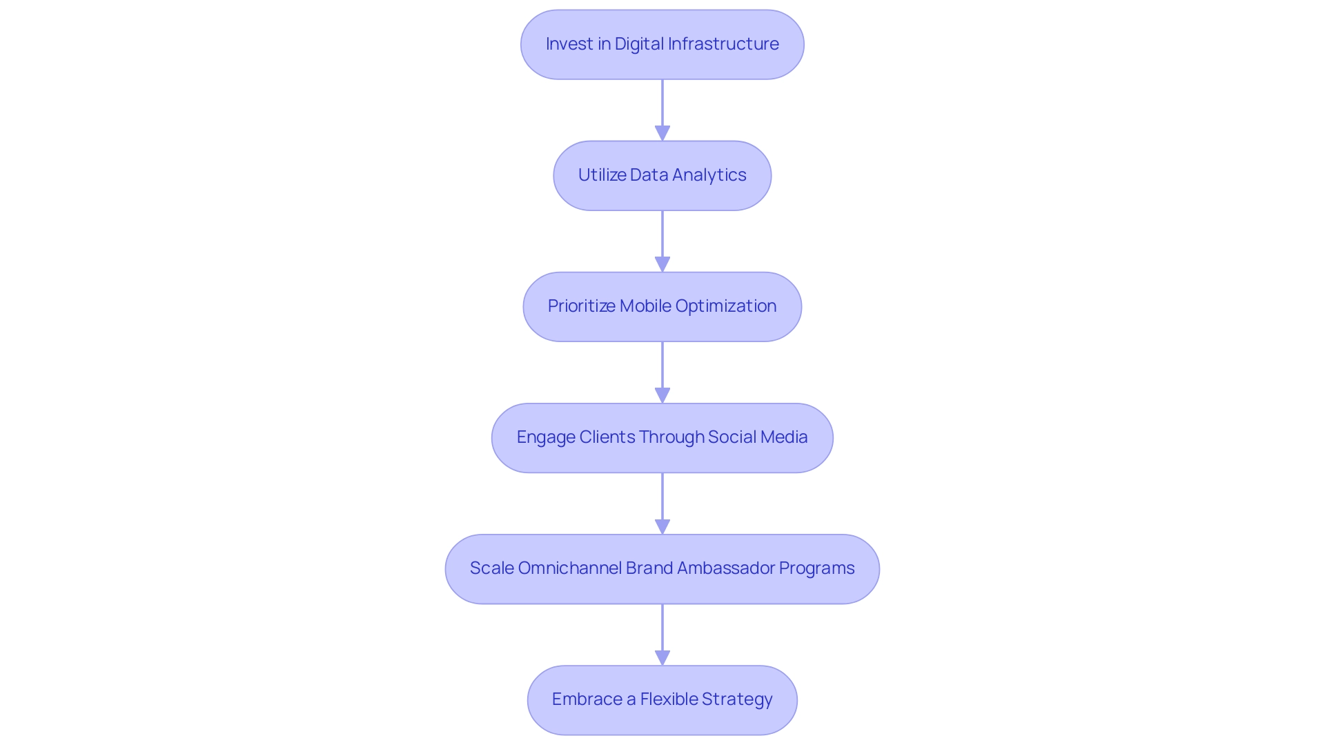 Each box represents a step in the digital commerce strategy process, indicating the order in which these strategies should be implemented.