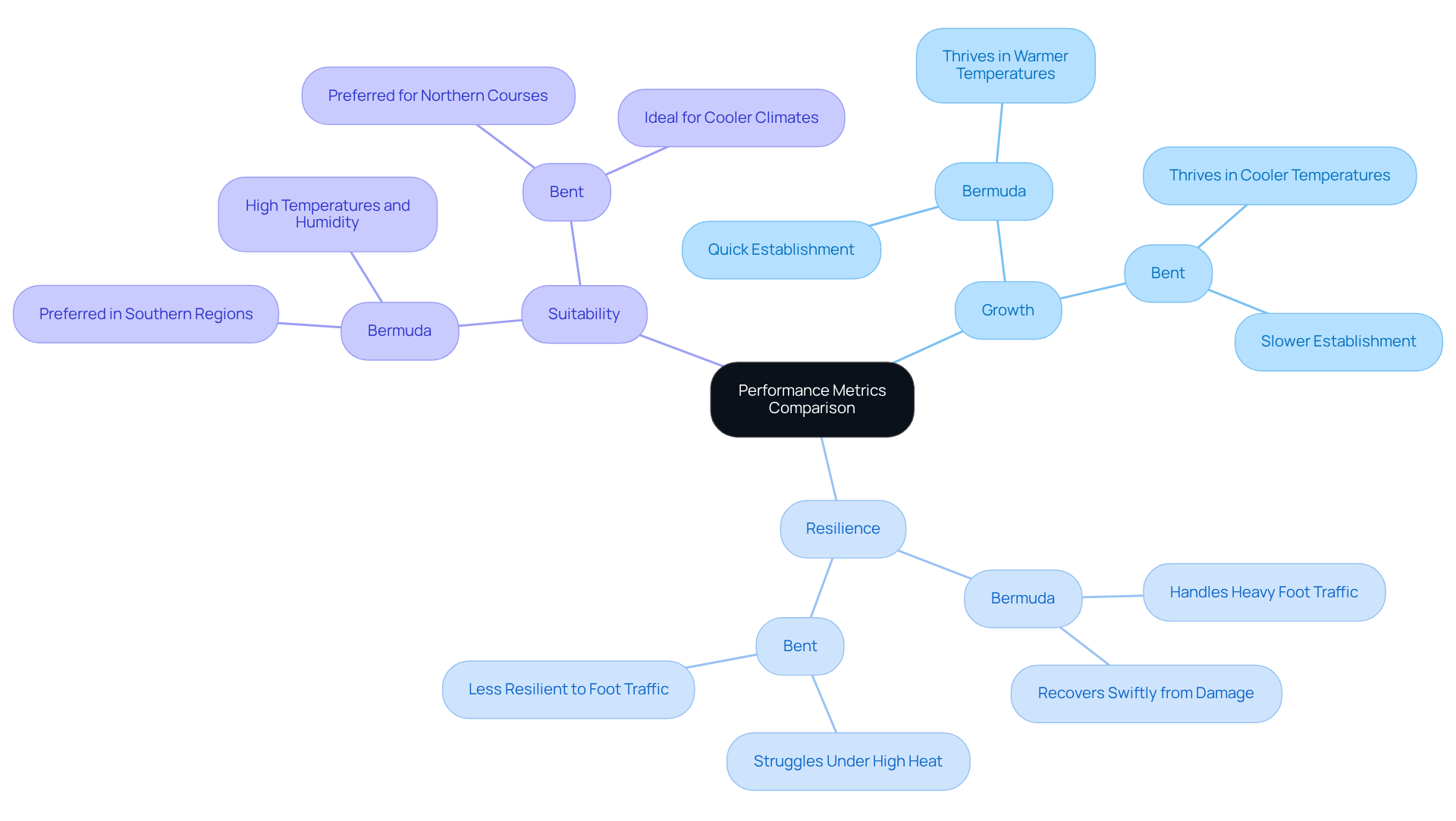 The central node represents the overall comparison, while the branches show how Bermuda and bent grass perform in terms of growth, resilience, and suitability. Each sub-branch provides specific details about their characteristics.