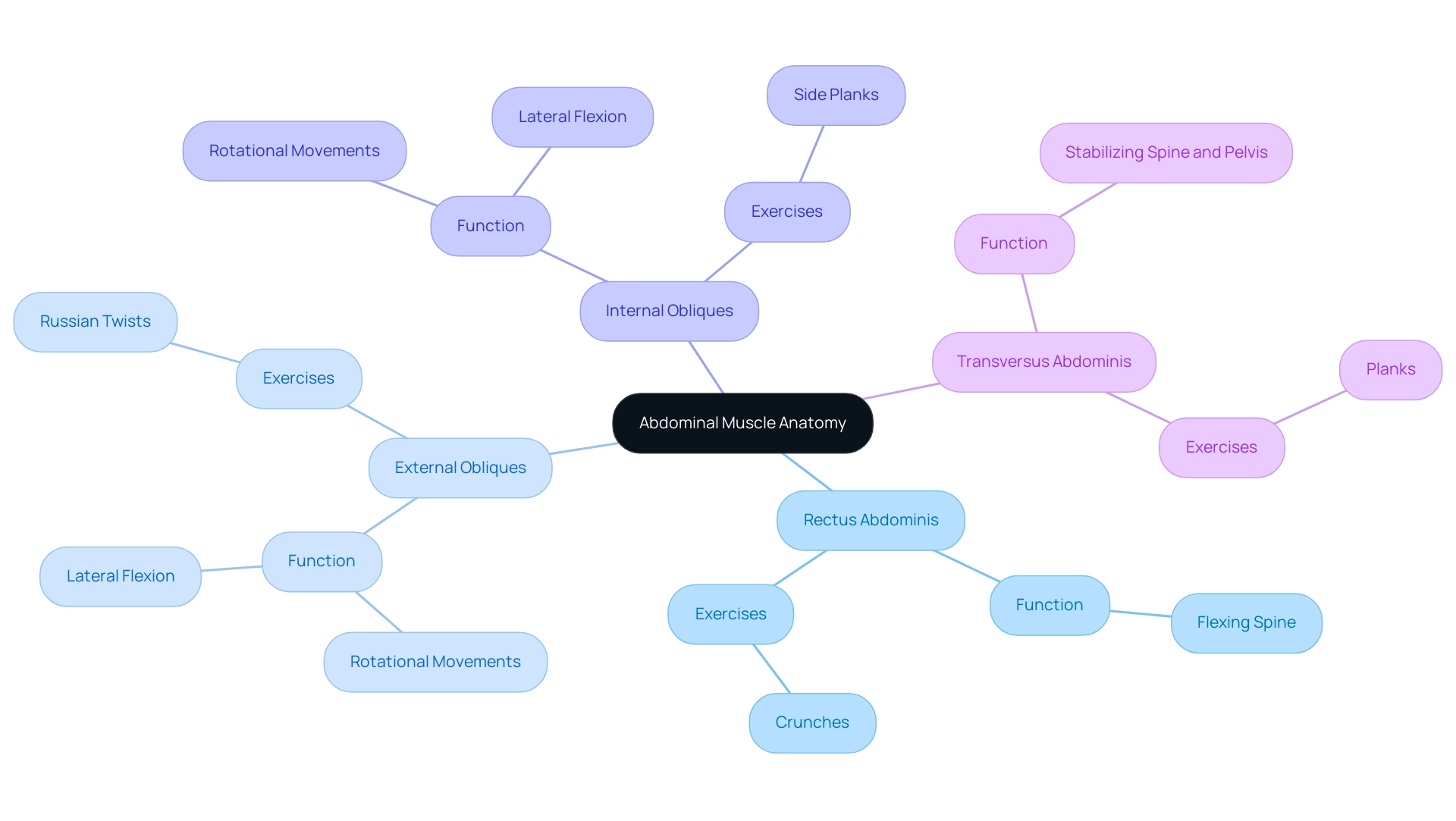 Each branch represents a muscle group, with sub-branches detailing functions and recommended exercises, color-coded for easier navigation of information.