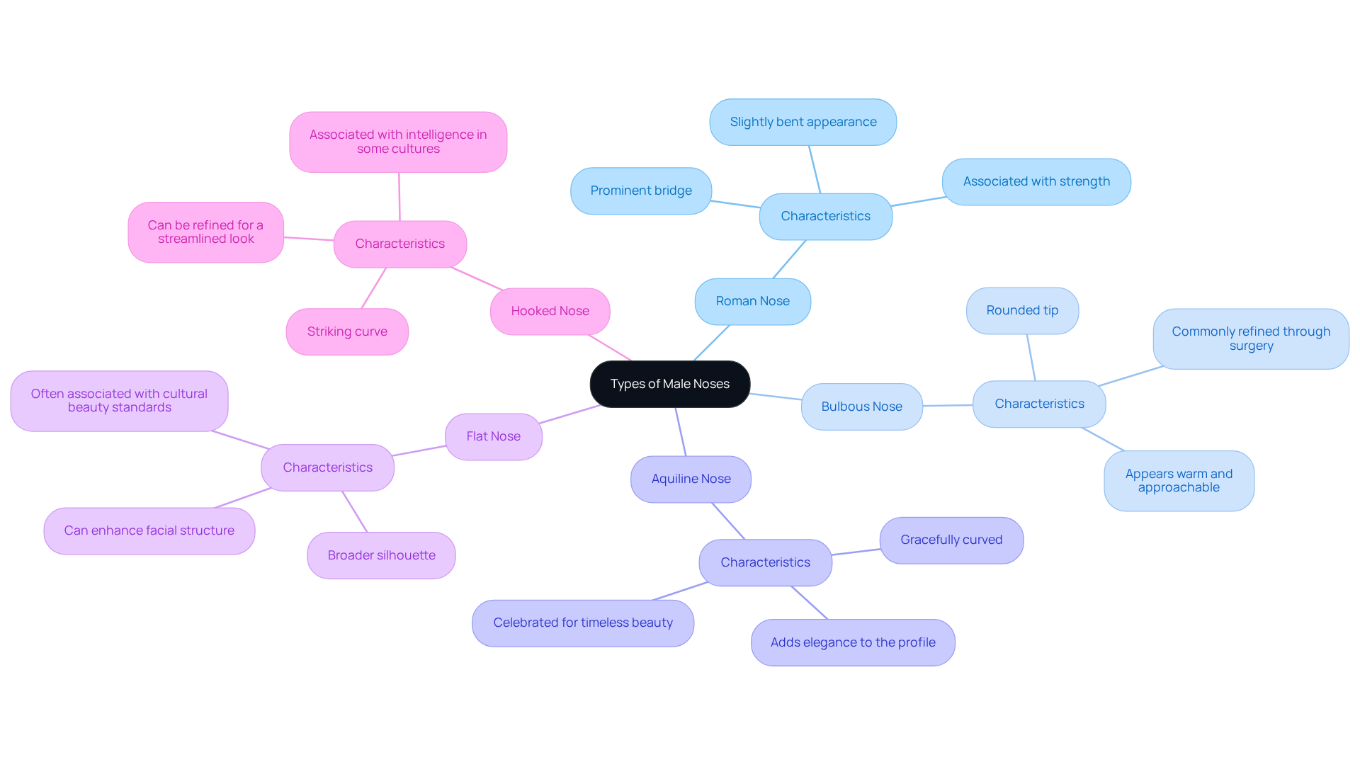 This mindmap showcases various types of male noses. Each branch represents a different nose type, and the sub-branches describe their unique features. Follow the branches to learn about the characteristics that make each nose type special. This mindmap showcases various types of male noses. Each branch represents a different nose type, and the sub-branches describe their unique features. Follow the branches to learn about the characteristics that make each nose type special.