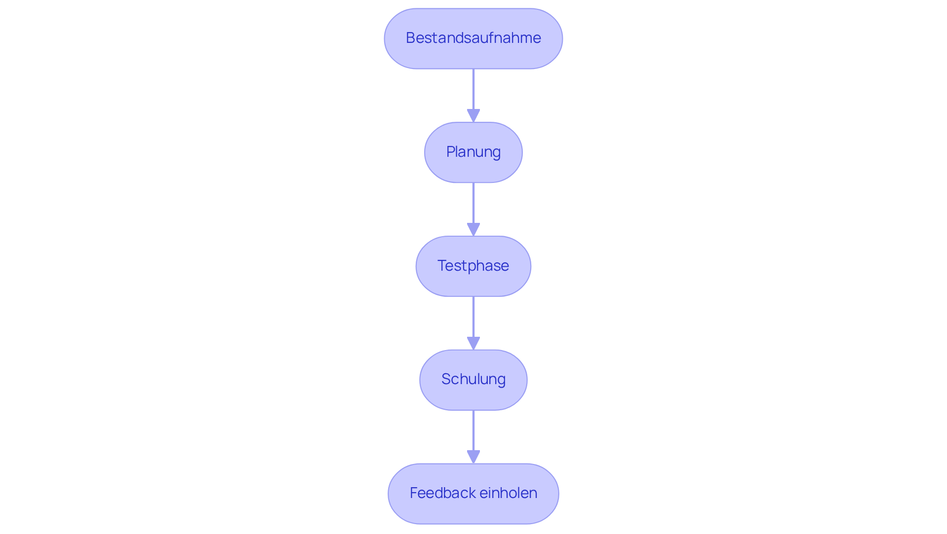 Jeder Schritt zeigt, was zu tun ist, um die Software erfolgreich zu integrieren. Folgen Sie den Pfeilen, um zu sehen, wie die Schritte miteinander verbunden sind.
