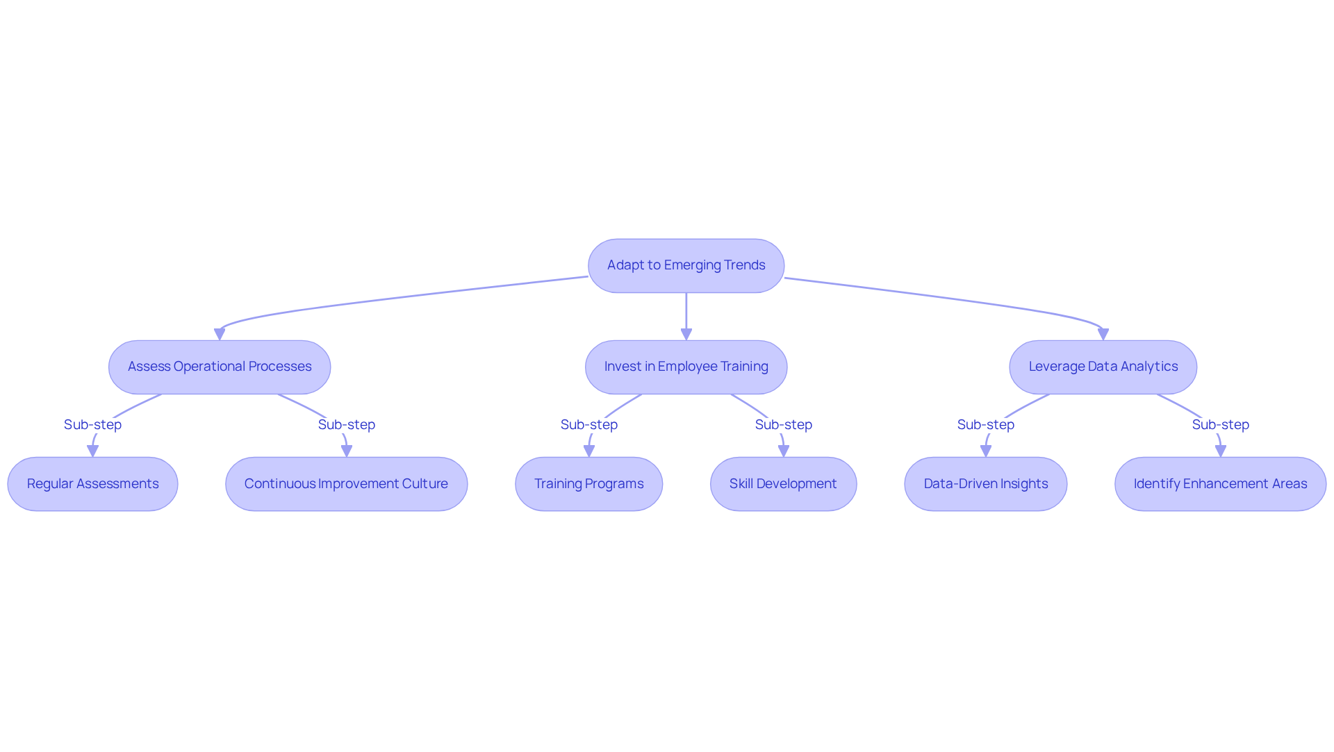 Follow the arrows to see how companies can adapt to changes in the transportation sector. Each box represents a key action, and the sub-steps show how to implement these actions effectively.