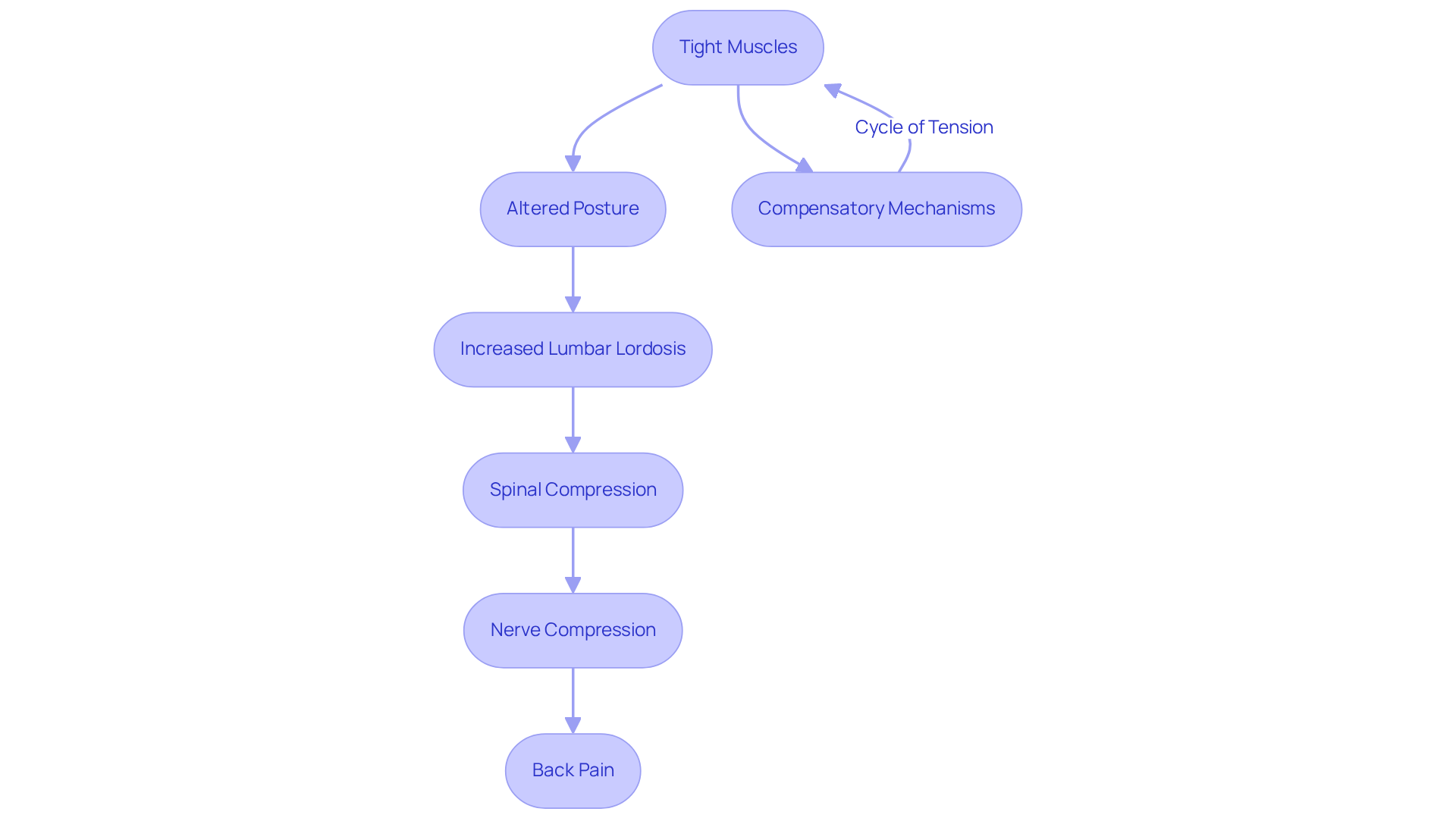This flowchart illustrates how tight muscles can lead to back pain. Start at the top with 'Tight Muscles' and follow the arrows down to see how they affect posture and spinal health, ultimately leading to discomfort. The side branch shows how other muscles may compensate, creating a cycle of tension. This flowchart illustrates how tight muscles can lead to back pain. Start at the top with 'Tight Muscles' and follow the arrows down to see how they affect posture and spinal health, ultimately leading to discomfort. The side branch shows how other muscles may compensate, creating a cycle of tension.