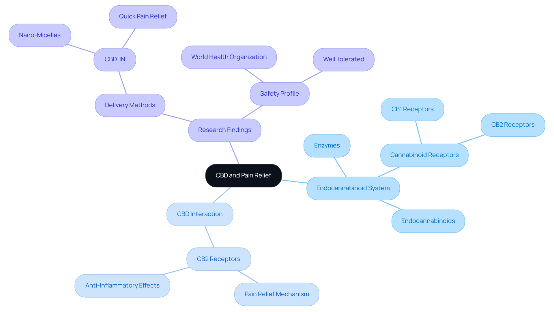 The central node represents the main topic of CBD and pain relief. The branches show the key components of the endocannabinoid system and how CBD interacts with them. Each color-coded branch helps you see how these elements are connected and contribute to understanding CBD's role in managing pain.