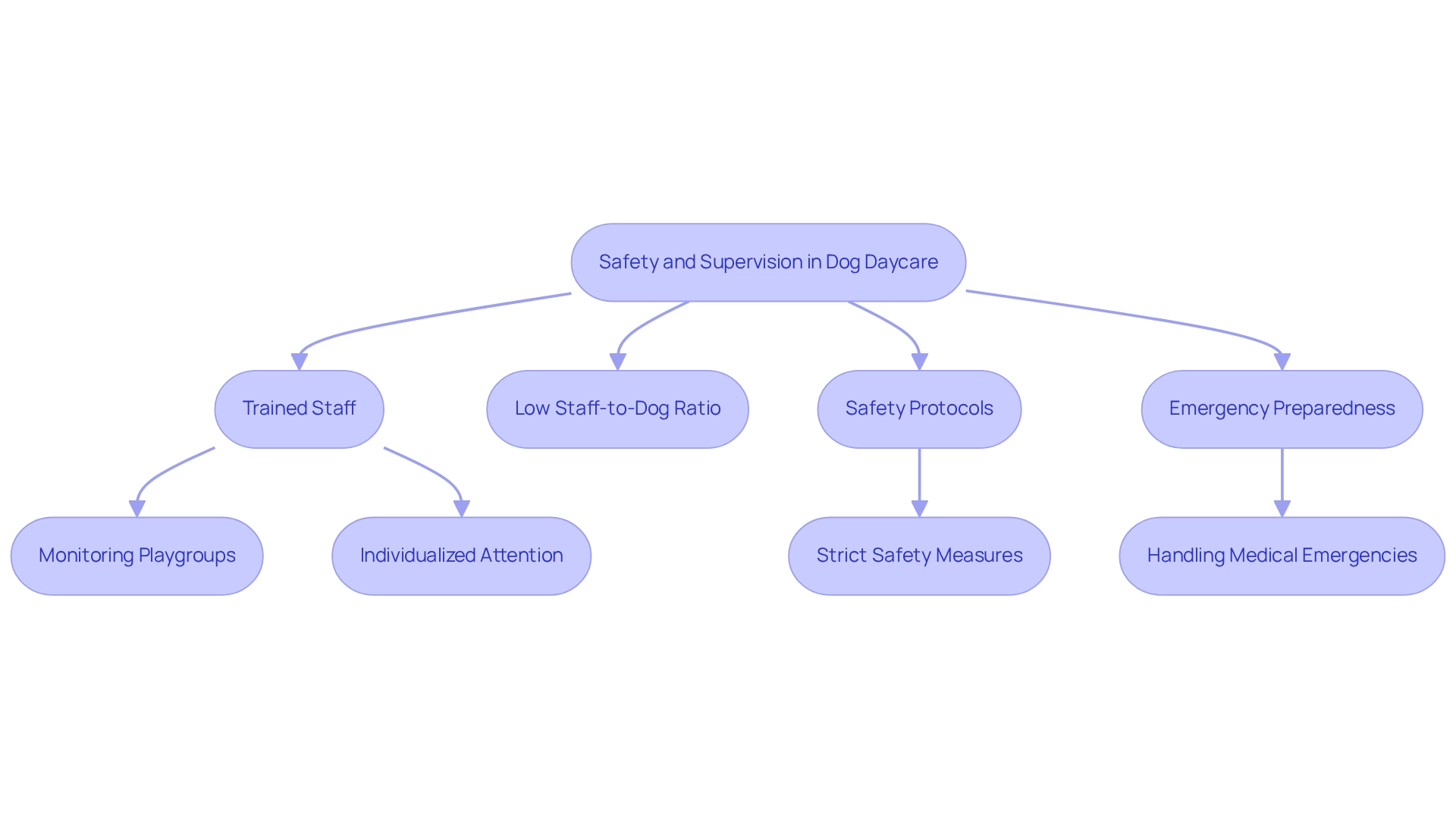 This flowchart shows how different safety measures and staff training work together to ensure your dog's happiness and safety. Each box represents a key area, and the arrows indicate how they connect to enhance overall care.