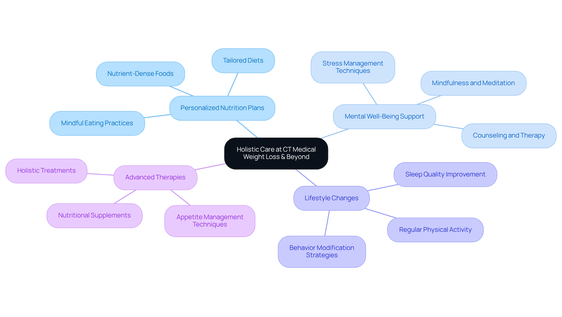 The center represents the holistic care philosophy, while the branches show the different elements that contribute to successful weight loss. Each branch highlights a key area of focus, illustrating how they work together to support your journey.