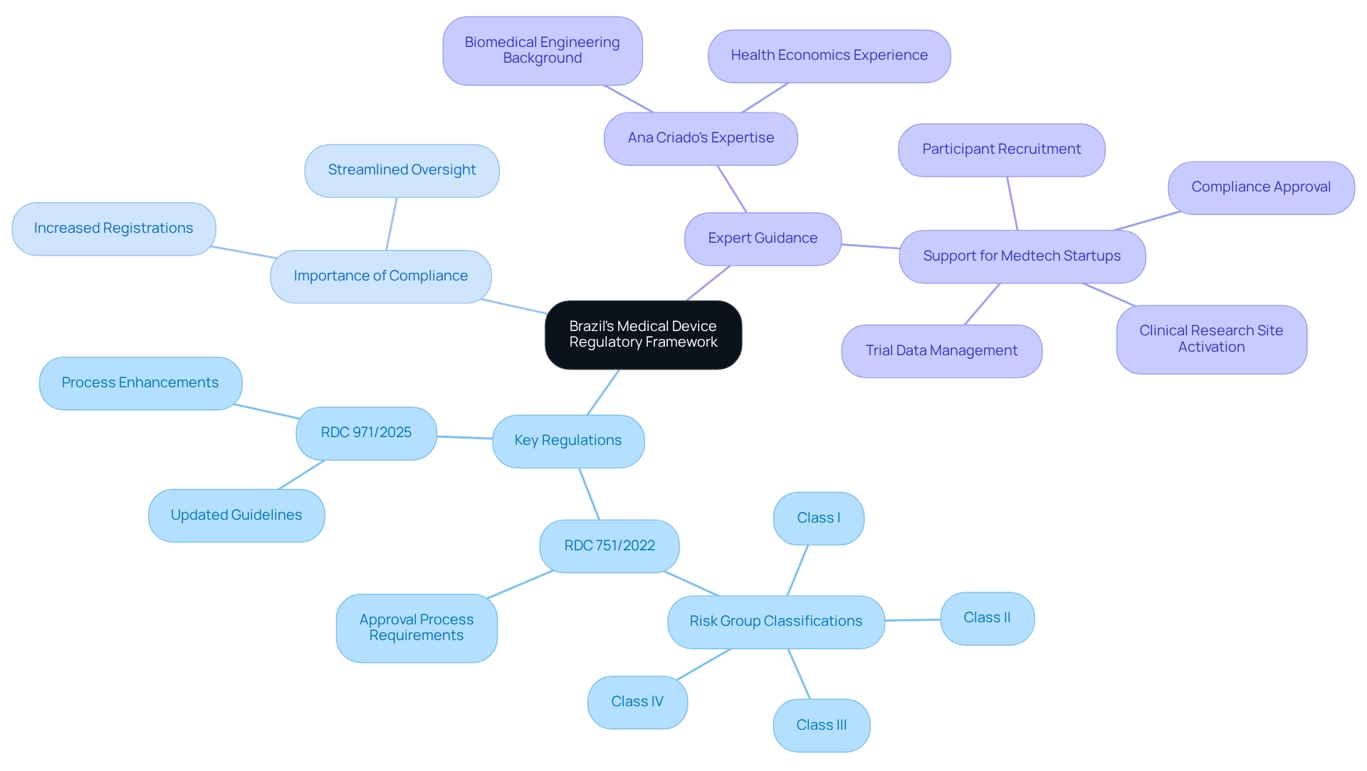 The central node represents the regulatory framework, while the branches show key regulations and their meanings. Each color-coded branch helps identify different aspects of the framework, making it easier to understand how they fit together.