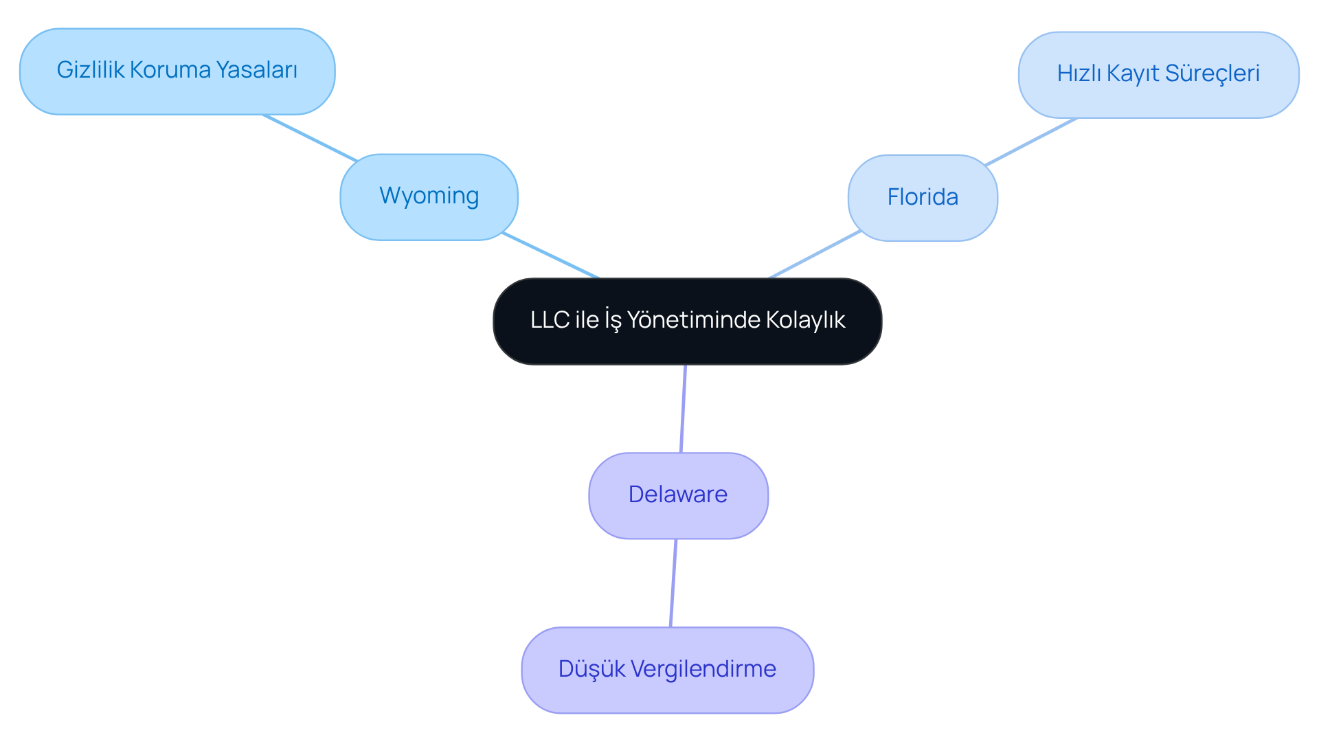 Ortada LLC'lerin sağladığı esneklik ile ilgili genel bilgi var. Dallar, her eyaletteki spesifik avantajları gösteriyor — her bir dalda o eyaletin sunduğu fırsatlar yer alıyor. Ortada LLC'lerin sağladığı esneklik ile ilgili genel bilgi var. Dallar, her eyaletteki spesifik avantajları gösteriyor — her bir dalda o eyaletin sunduğu fırsatlar yer alıyor.