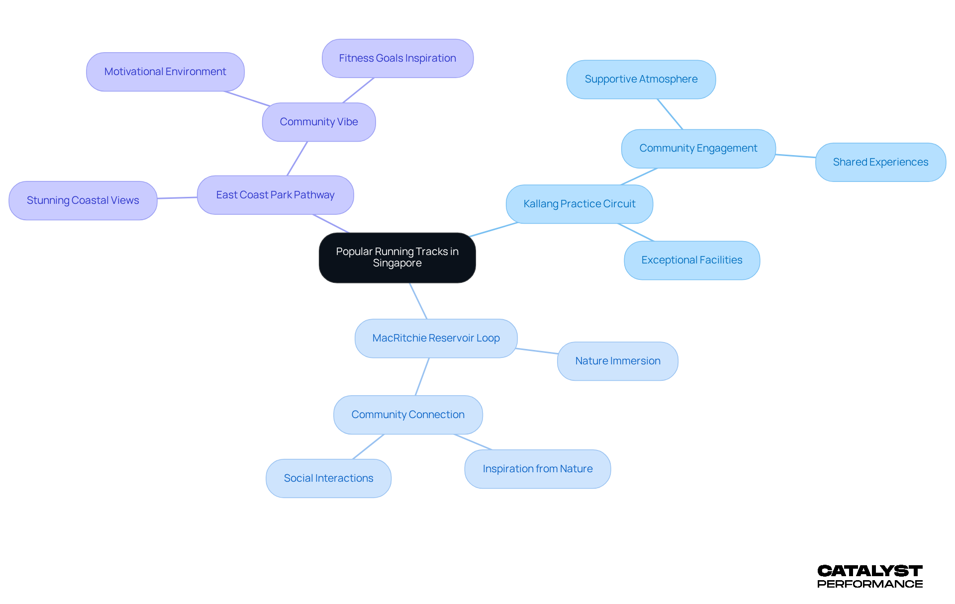 The center shows the main topic of running tracks, and each branch leads to specific tracks with their features and community benefits. Follow the branches to explore how each track contributes to the running experience.