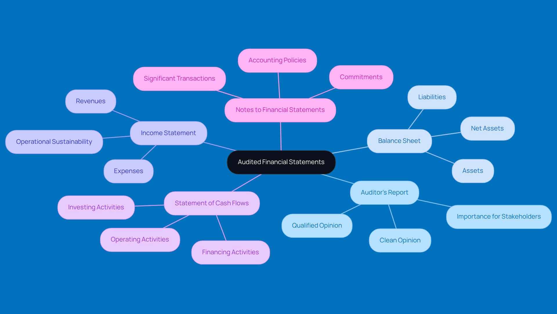 This mindmap starts with the main topic of audited financial statements at the center. Each branch represents a crucial component that nonprofits need to understand. Follow the branches to see how each part contributes to the overall financial picture, helping you grasp the essentials of nonprofit financial reporting.
