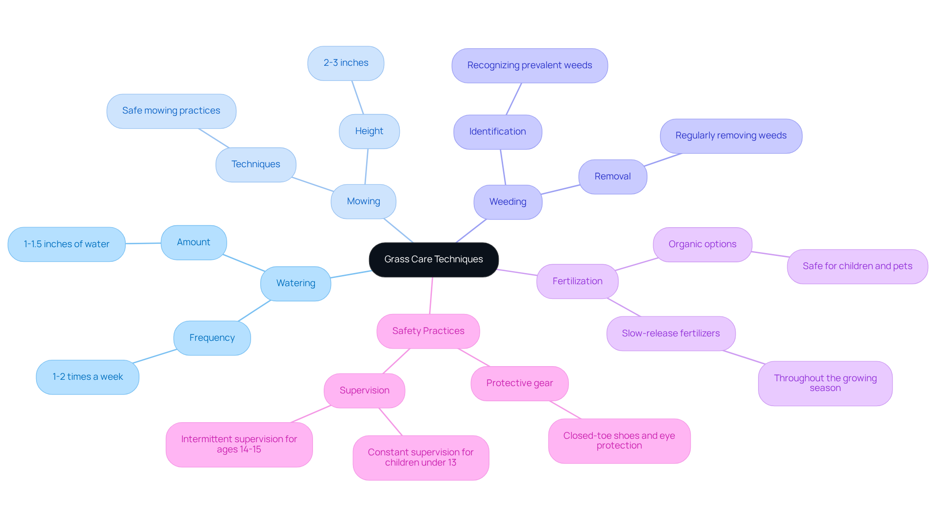 The center shows the main topic of grass care, with branches leading to different techniques. Each branch contains important details that help kids learn how to take care of their lawn safely and effectively. The center shows the main topic of grass care, with branches leading to different techniques. Each branch contains important details that help kids learn how to take care of their lawn safely and effectively.