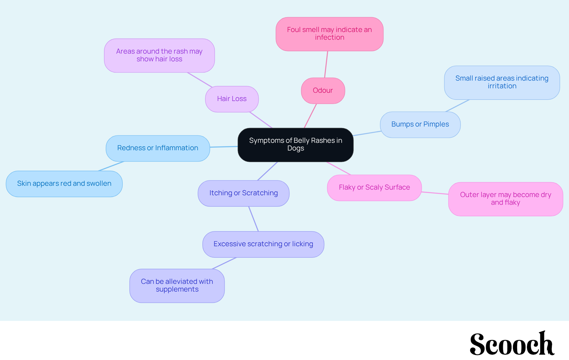How to Identify and Treat Rash in Dogs' Stomach Effectively