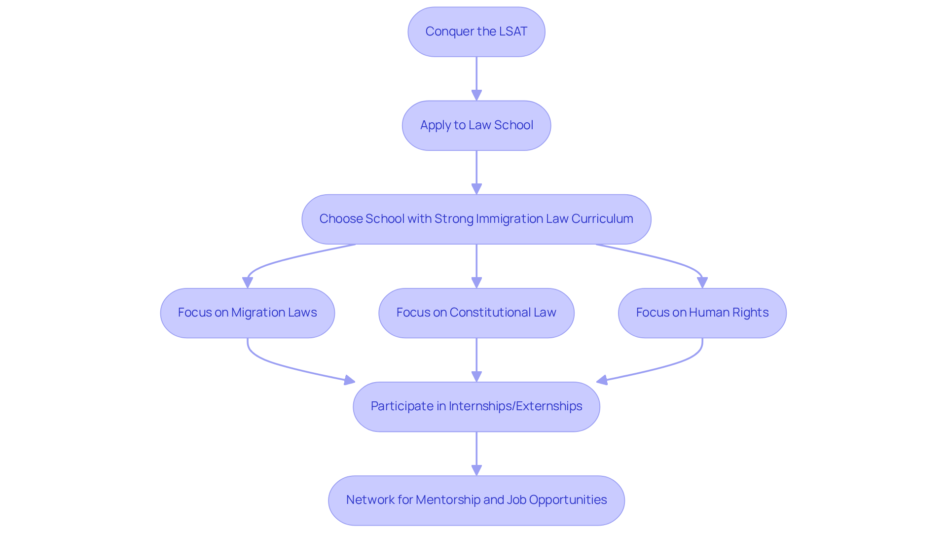 Follow the arrows to see each step in your journey to law school and becoming an immigration lawyer. Each box represents a key action or focus area that will help you succeed.