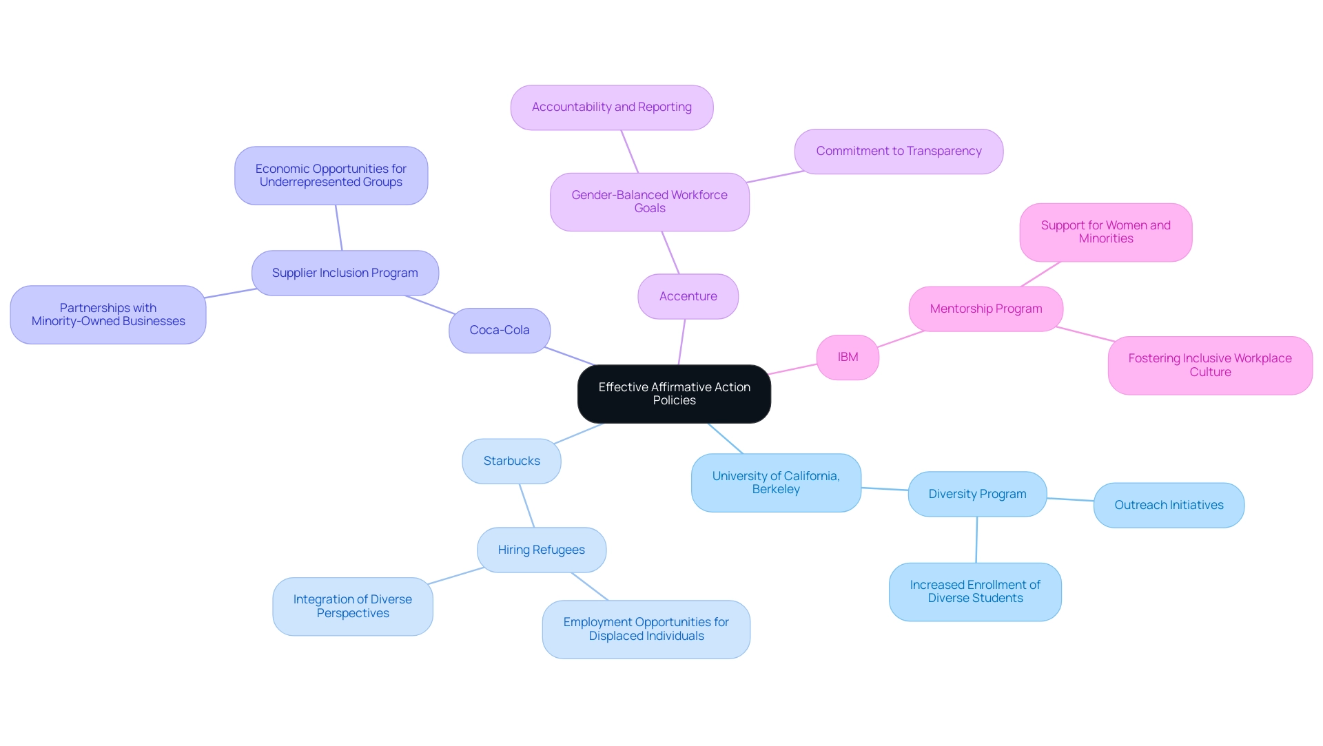 The central node represents affirmative action policies, with branches showing individual case studies and their specific initiatives.