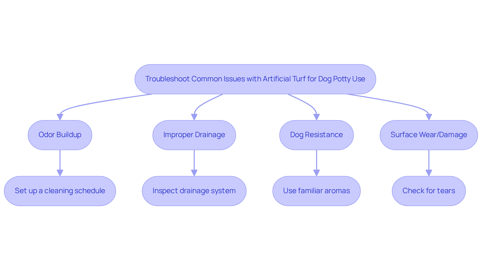 Each box represents a common issue you might face with artificial turf for your dog. Follow the arrows to see what actions you can take to resolve these issues and keep your turf in great shape!
