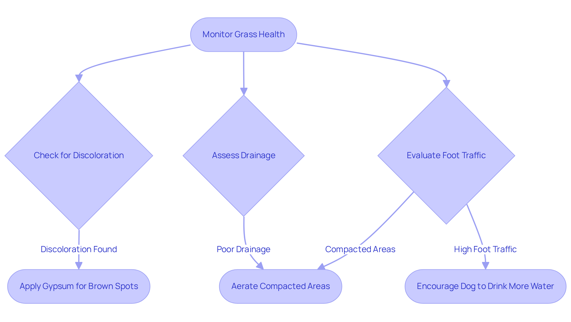 Follow the arrows to see the steps for keeping your lawn healthy. Each box represents an action you can take, and the branches show what to do based on what you find.