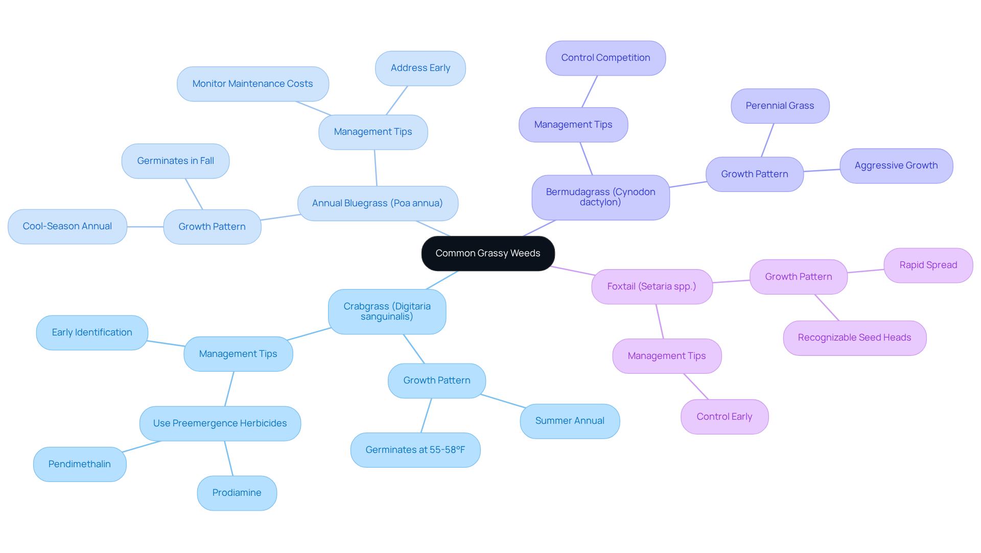 The central node represents the main topic of grassy weeds, while each branch shows a specific weed type. Sub-branches provide details about their growth and management, helping you understand how to tackle these lawn invaders.