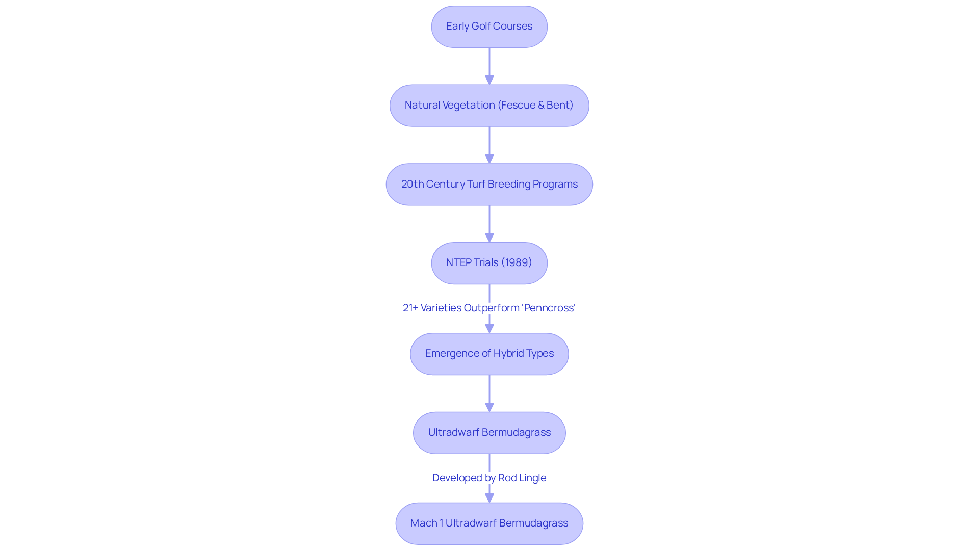 Follow the arrows to see how the development of putting green grasses has evolved over time, from early natural grasses to modern turf innovations.