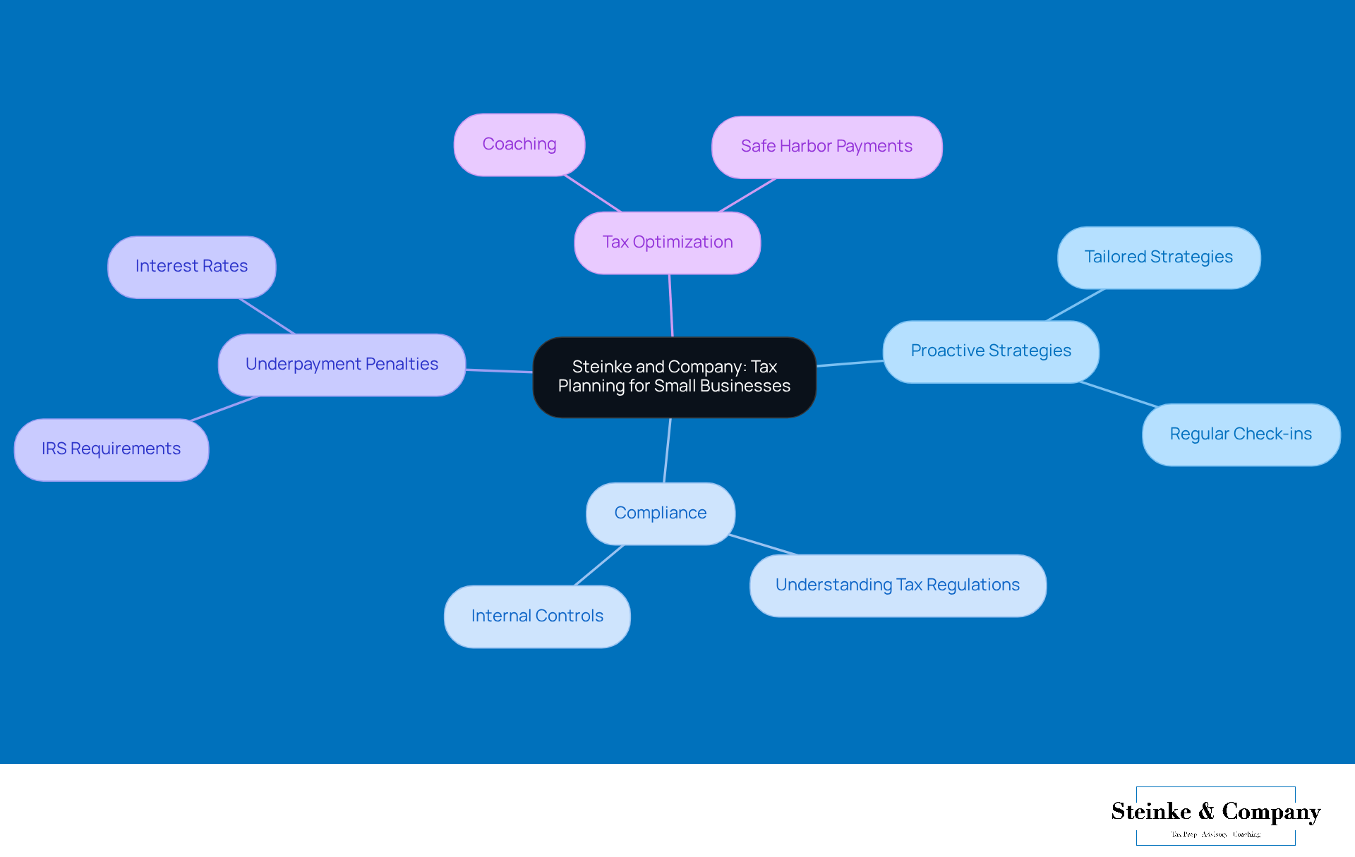The central node represents Steinke and Company's overall mission in tax planning. Each branch shows a key aspect of their services, with further details branching out to illustrate specific strategies and considerations. The central node represents Steinke and Company's overall mission in tax planning. Each branch shows a key aspect of their services, with further details branching out to illustrate specific strategies and considerations.